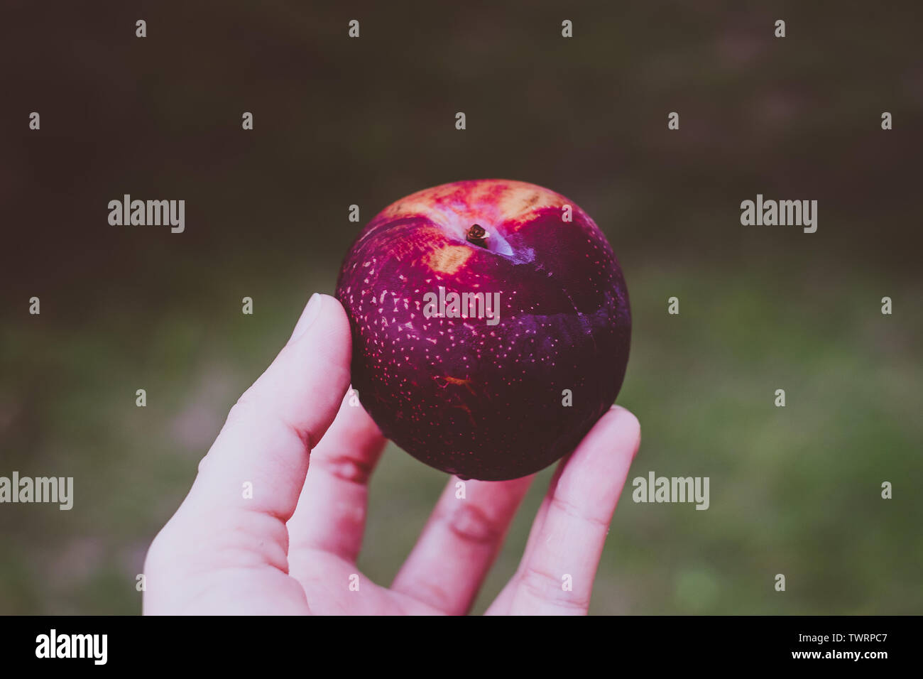 Selective focus human body part hi-res stock photography and images - Alamy