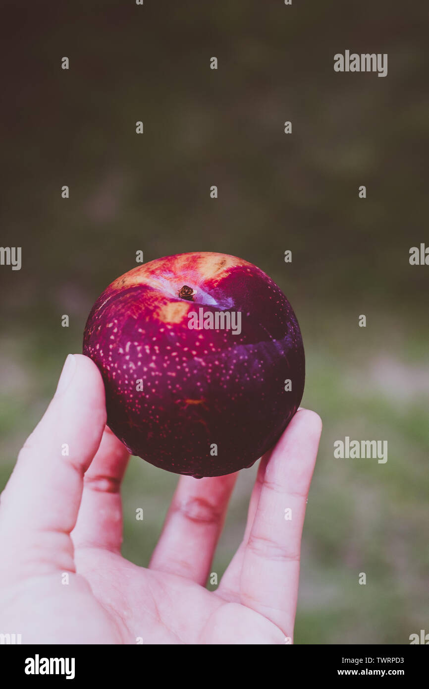 Selective focus human body part hi-res stock photography and images - Alamy