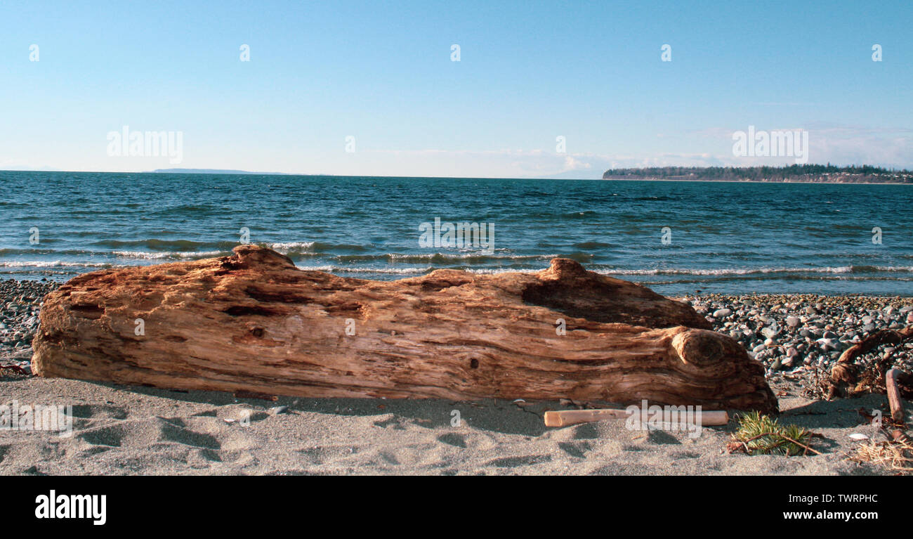 Bellingham wa hi-res stock photography and images - Alamy