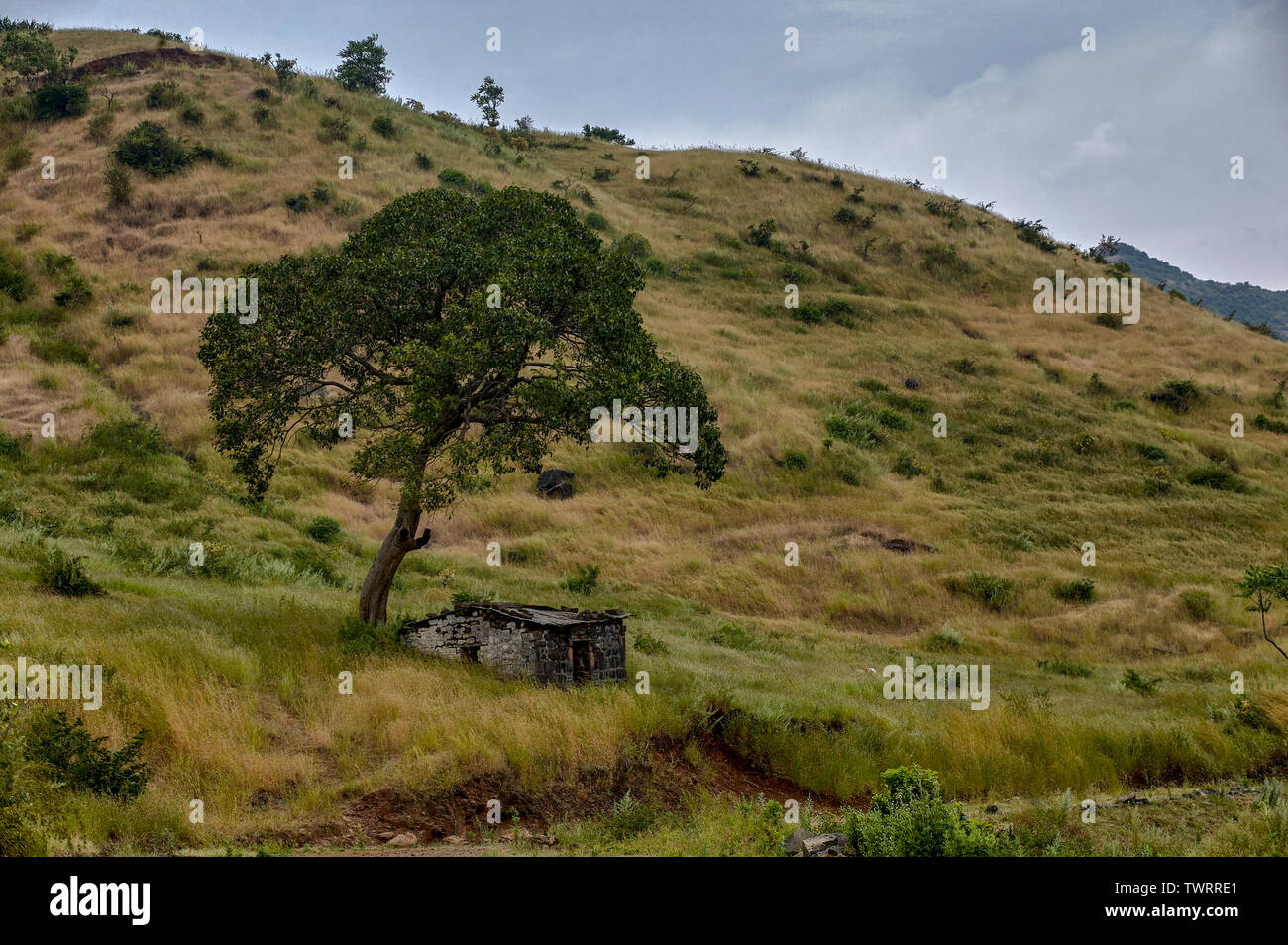 Purandar hi-res stock photography and images - Alamy