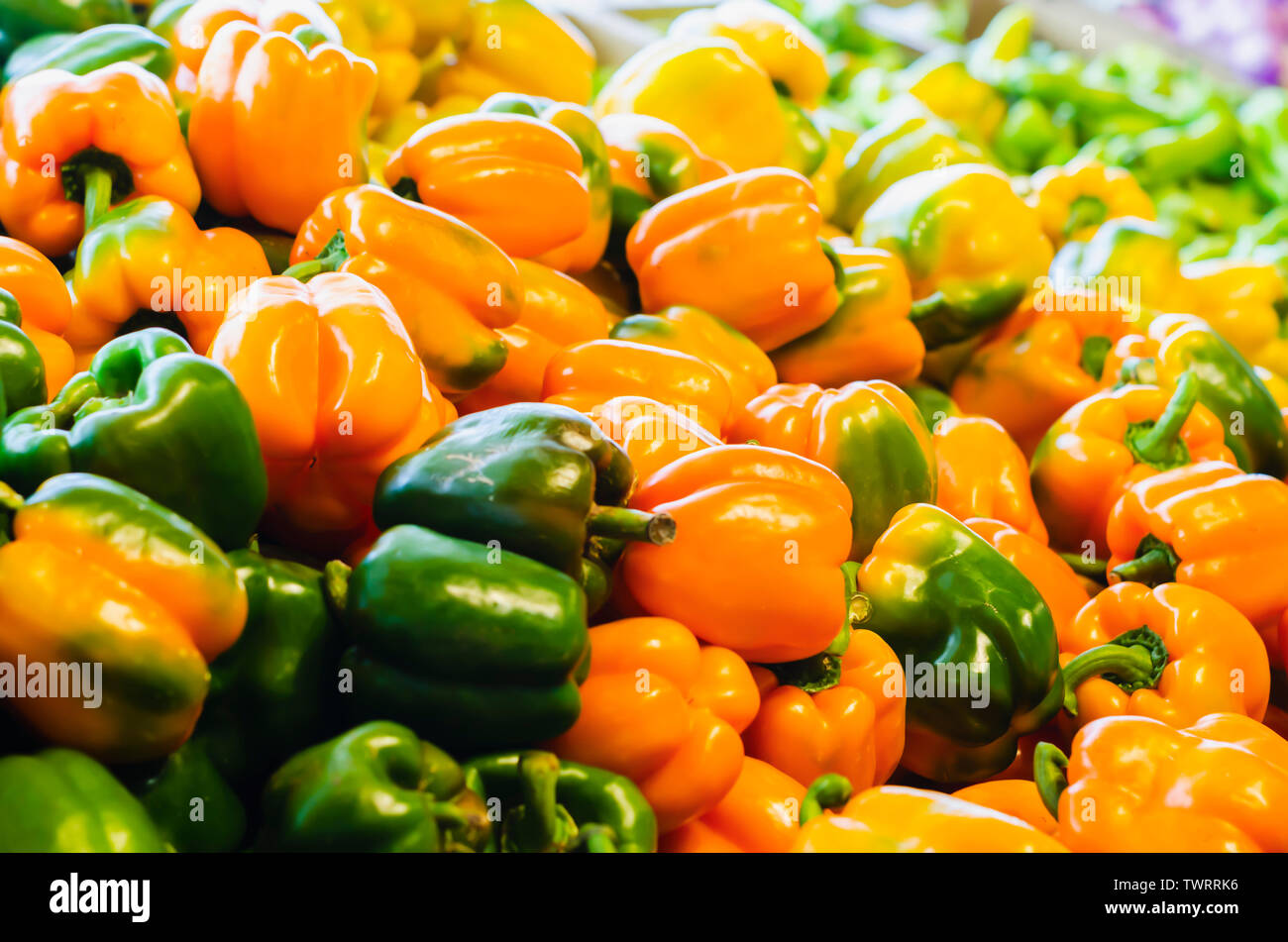 Capsicum annuum, commonly pepper, chilli, pepper or morrón, among a ...