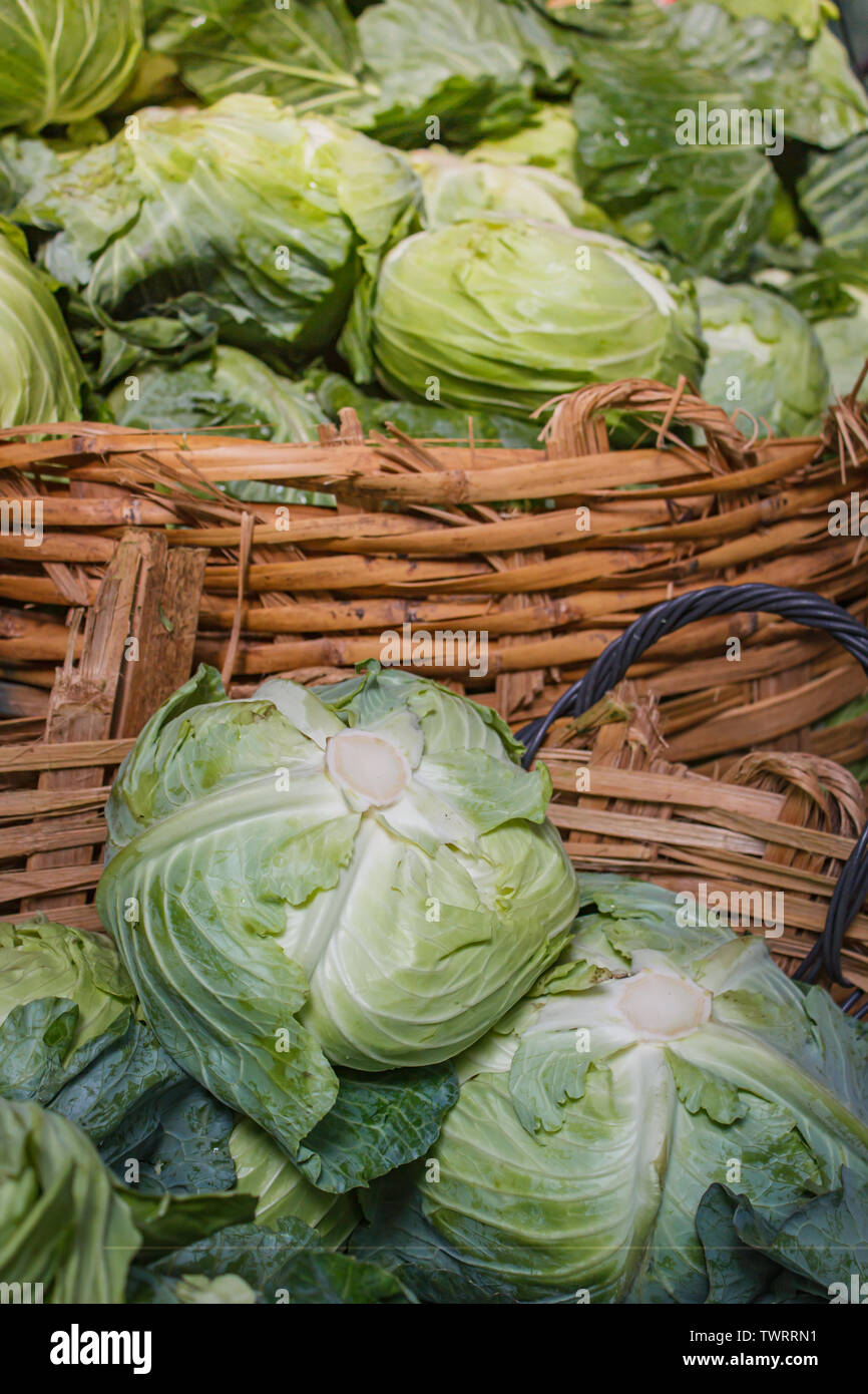 Cabbages pile hi-res stock photography and images - Alamy