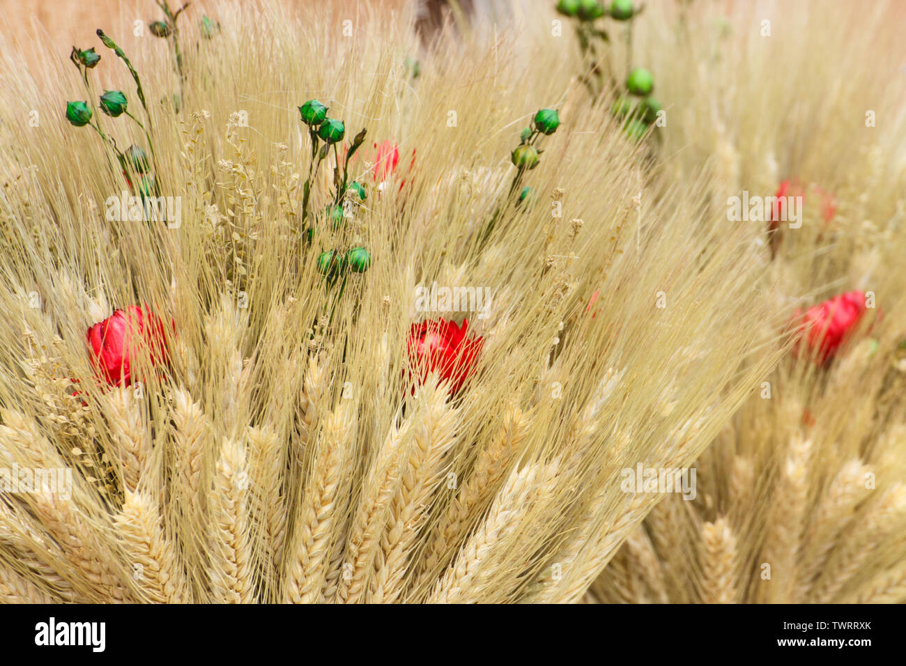 Harvest boquet hi-res stock photography and images - Alamy