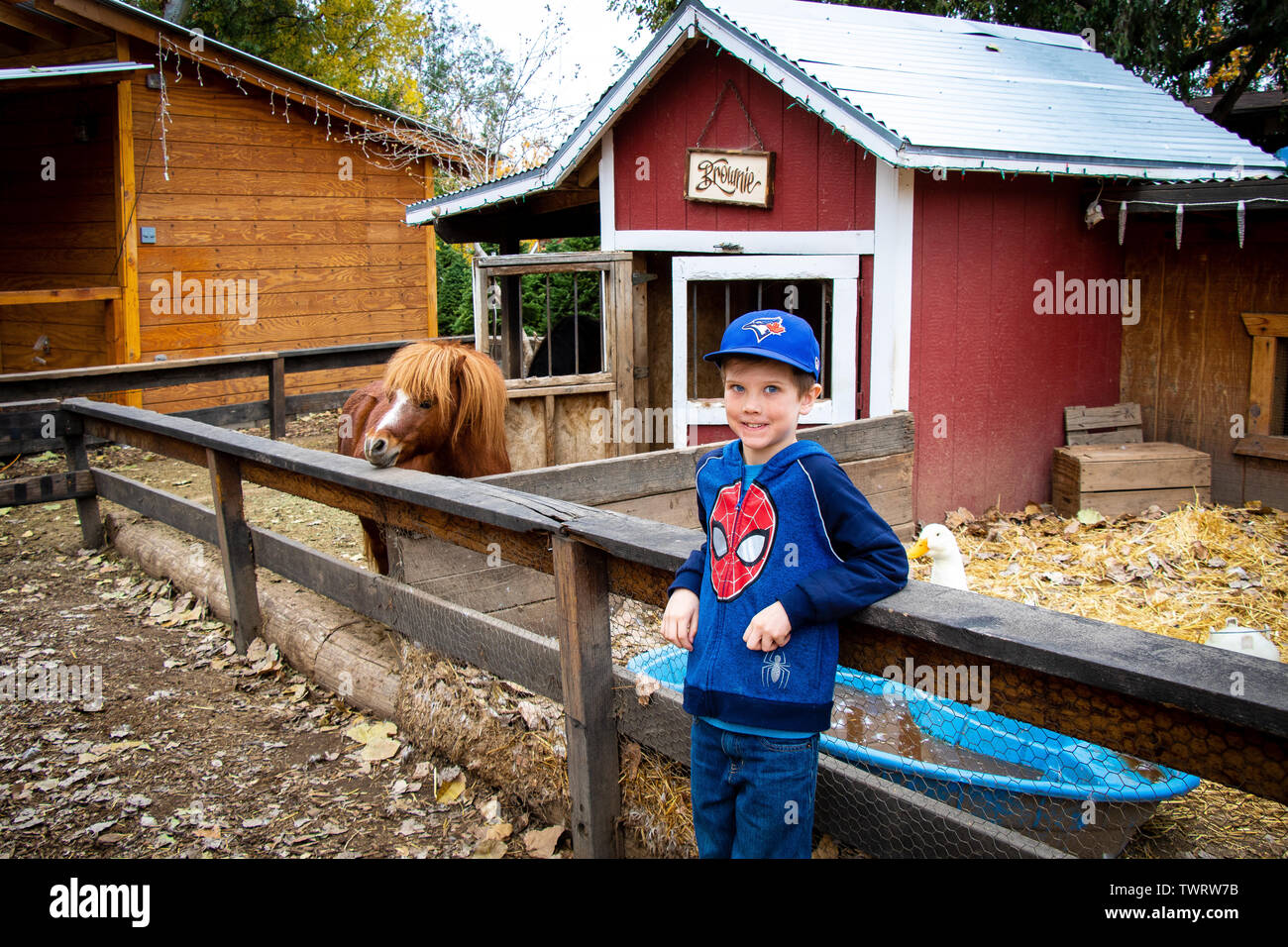 Boy at farm Stock Photo - Alamy