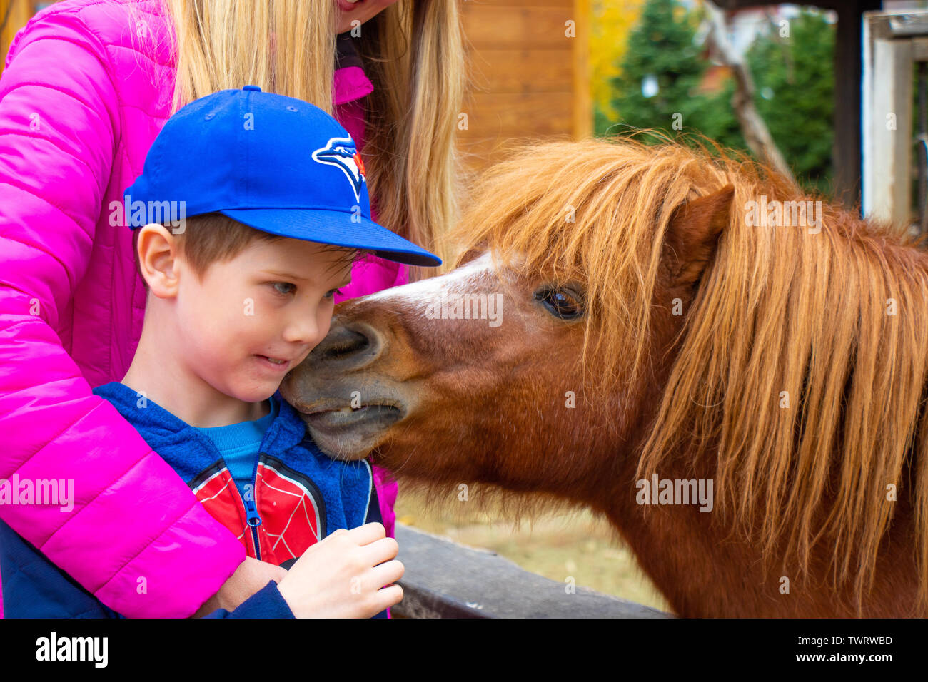Poney hi-res stock photography and images - Alamy