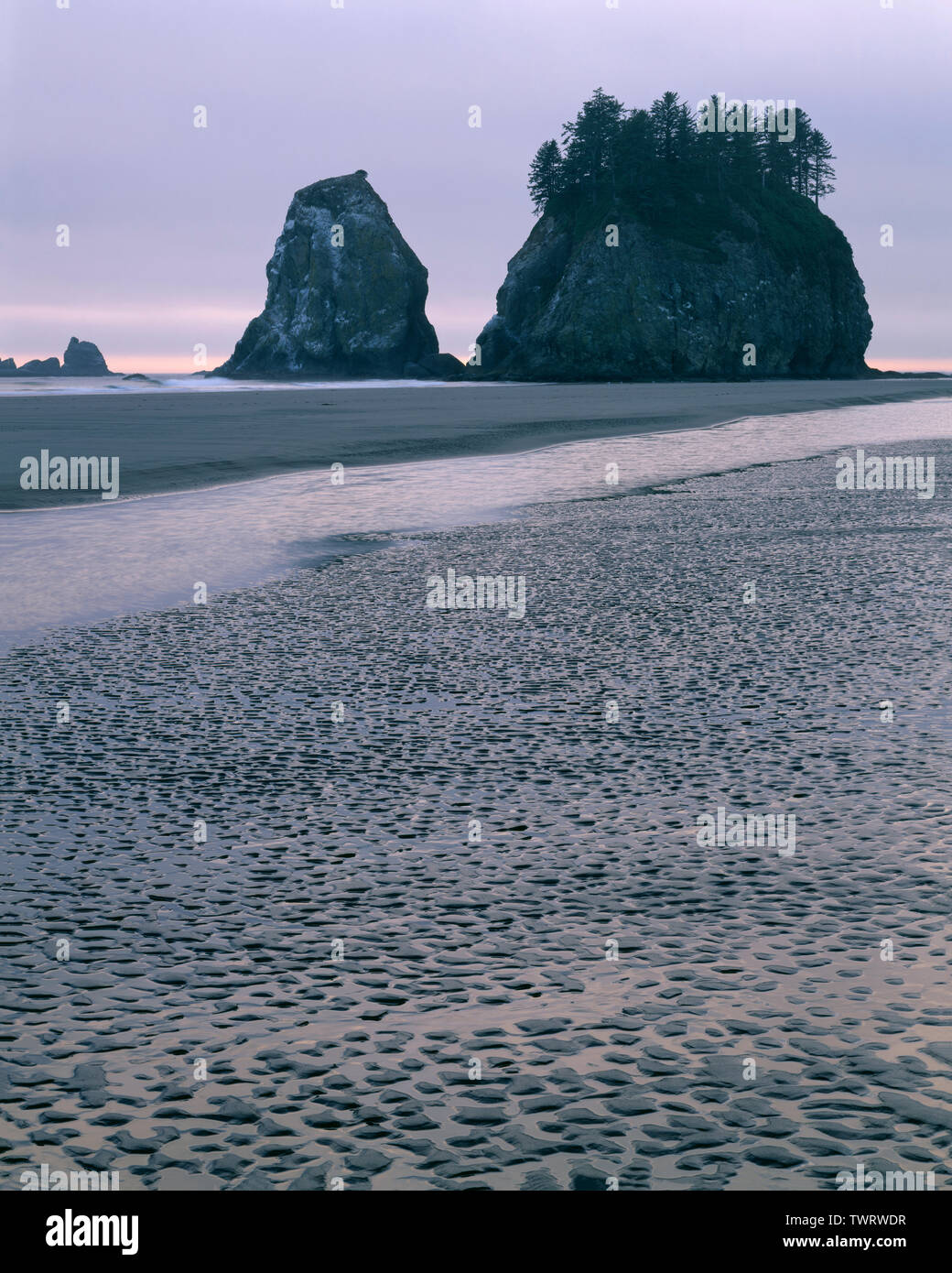 USA, Washington, Olympic National Park, Waves patterned sand and sea ...