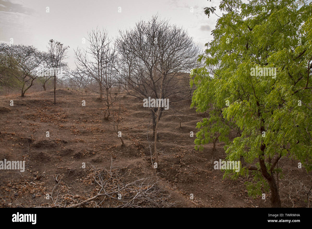 Dam of india hi-res stock photography and images - Alamy
