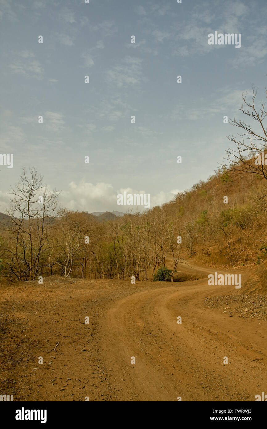 28 Jun 2012 Dry Forest kevadiya colony near sardar sarovar Narmada dam ...