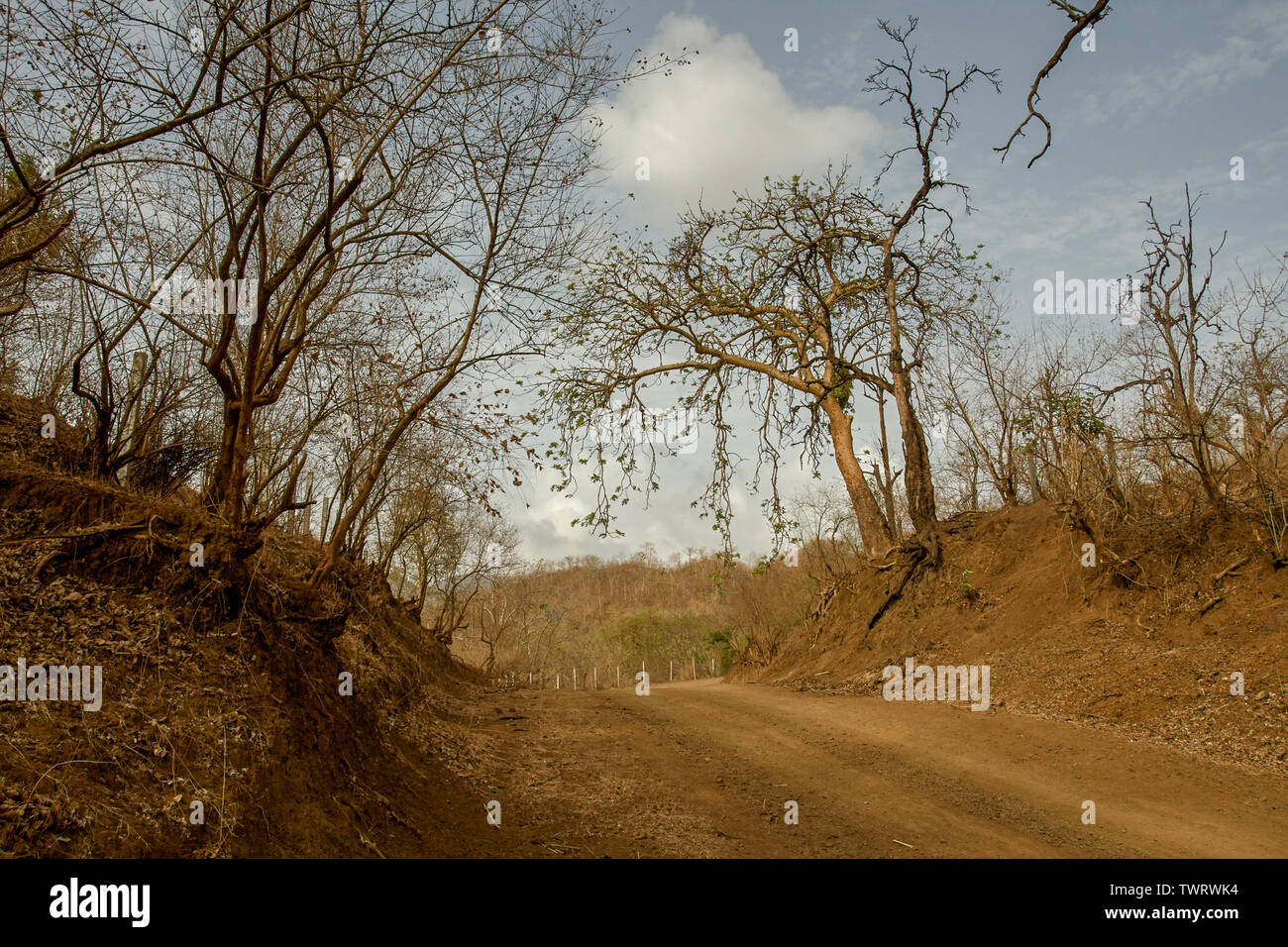28 Jun 2012 Dry Forest road kevadiya colony near sardar sarovar Narmada ...