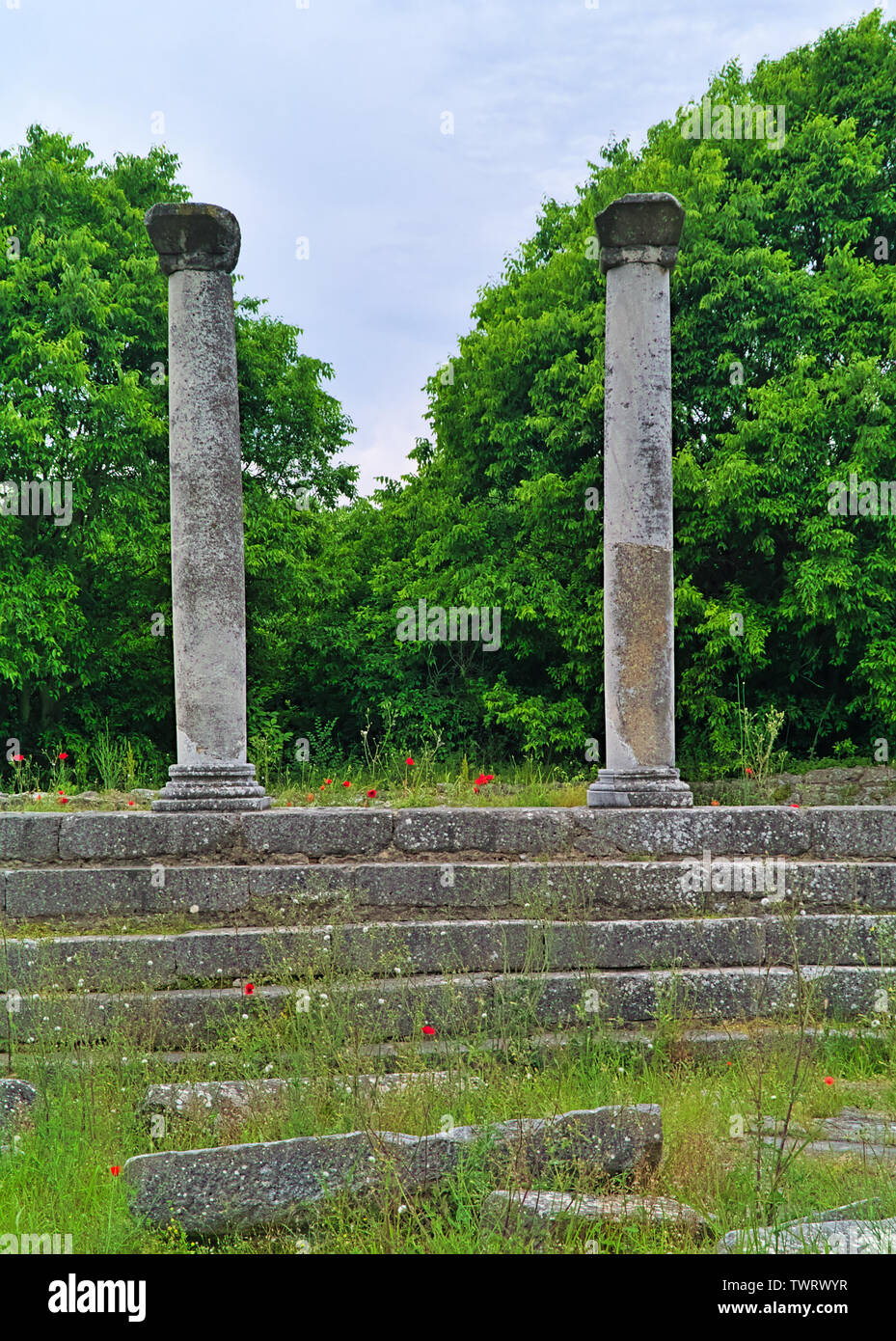 Steps two columns and trees in the Ancient site of Filipoi, in Kavala ...