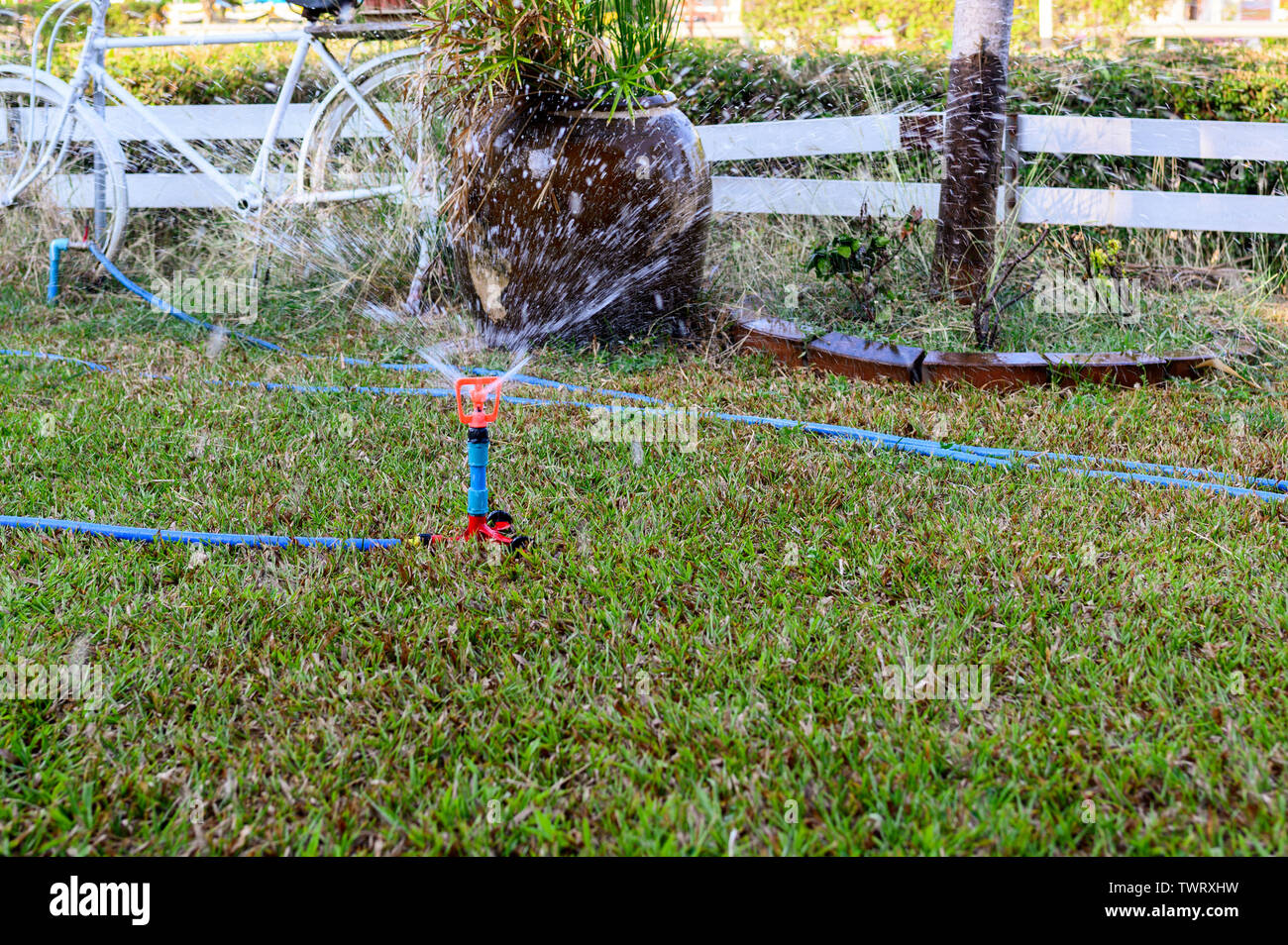 Irrigation sprinkler device with watering on lawn Stock Photo - Alamy