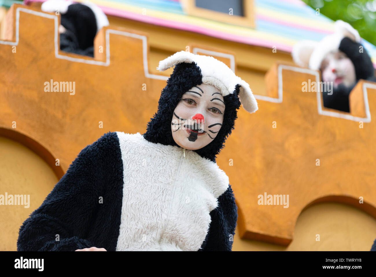 Cat festival in Ieper, Belgium Stock Photo - Alamy