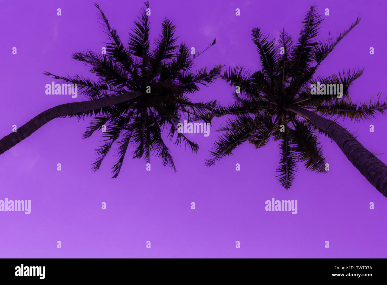 Top 10 tourist places in indoensia hi-res stock photography and images ...