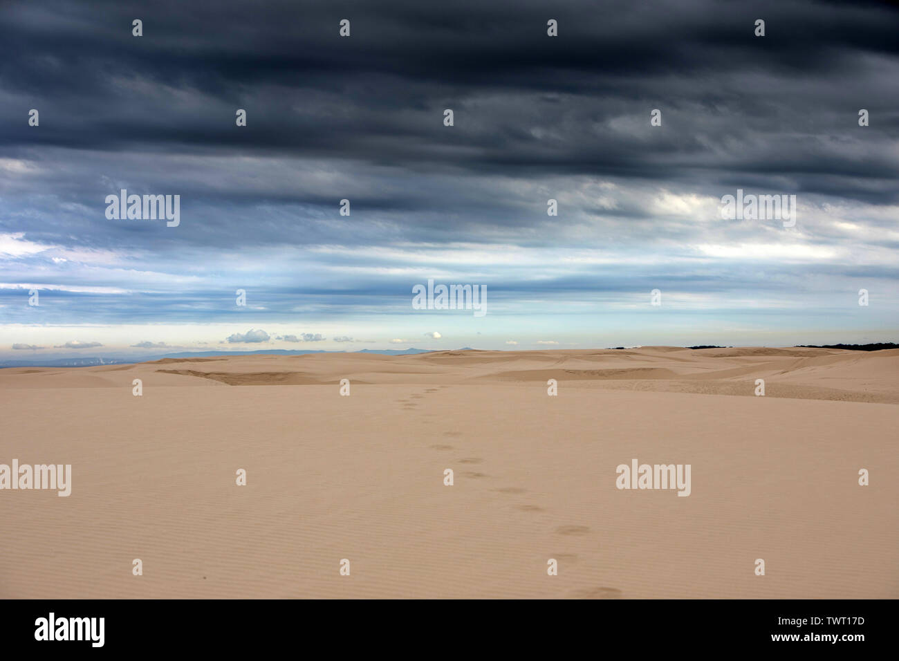 Stockton nsw sand dunes hi-res stock photography and images - Alamy