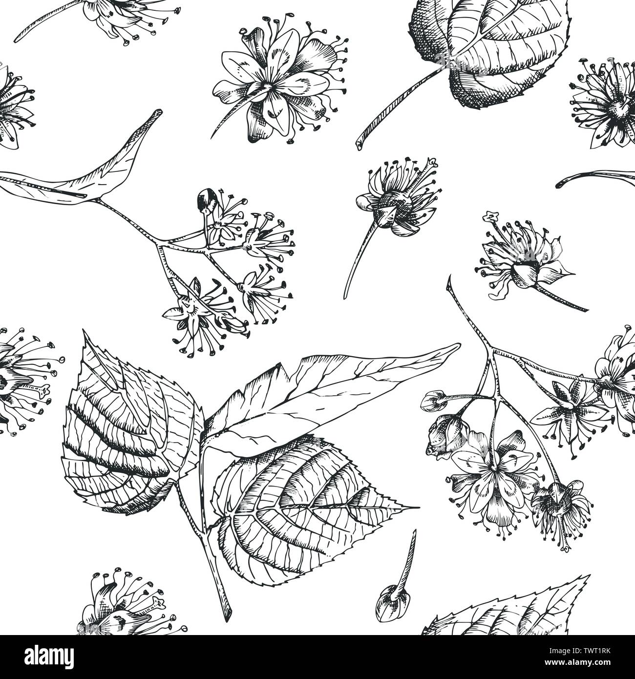 Linden blossom hand drawn seamless pattern with flower, lives and ...