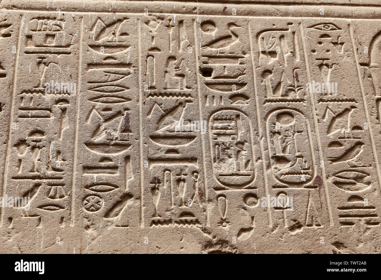 Egyptian Hieroglyphs in Luxor Temple, Luxor City, Egypt Stock Photo - Alamy