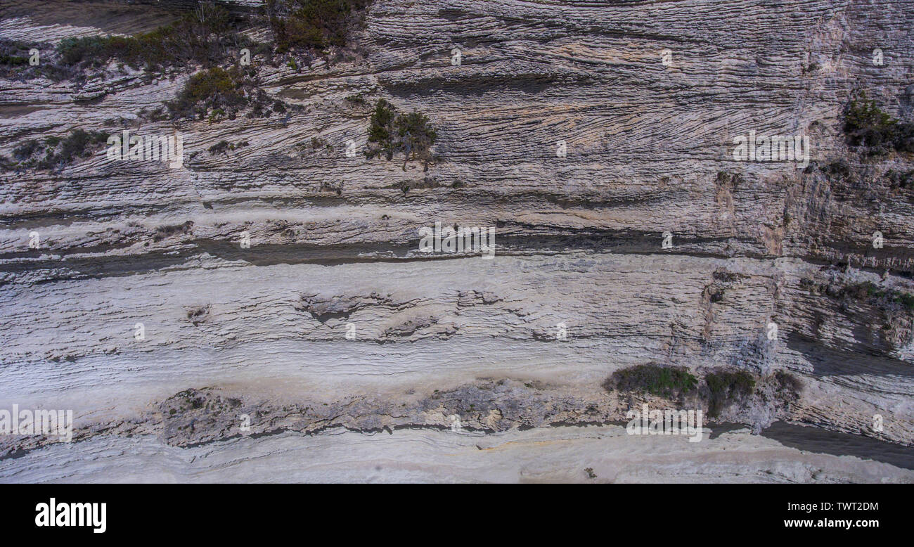 Vegetation on the surface of a sheer rock Stock Photo - Alamy