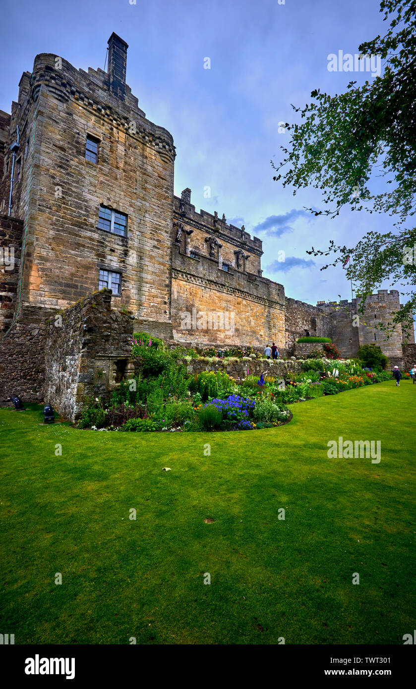 The stirling wolf hi-res stock photography and images - Alamy