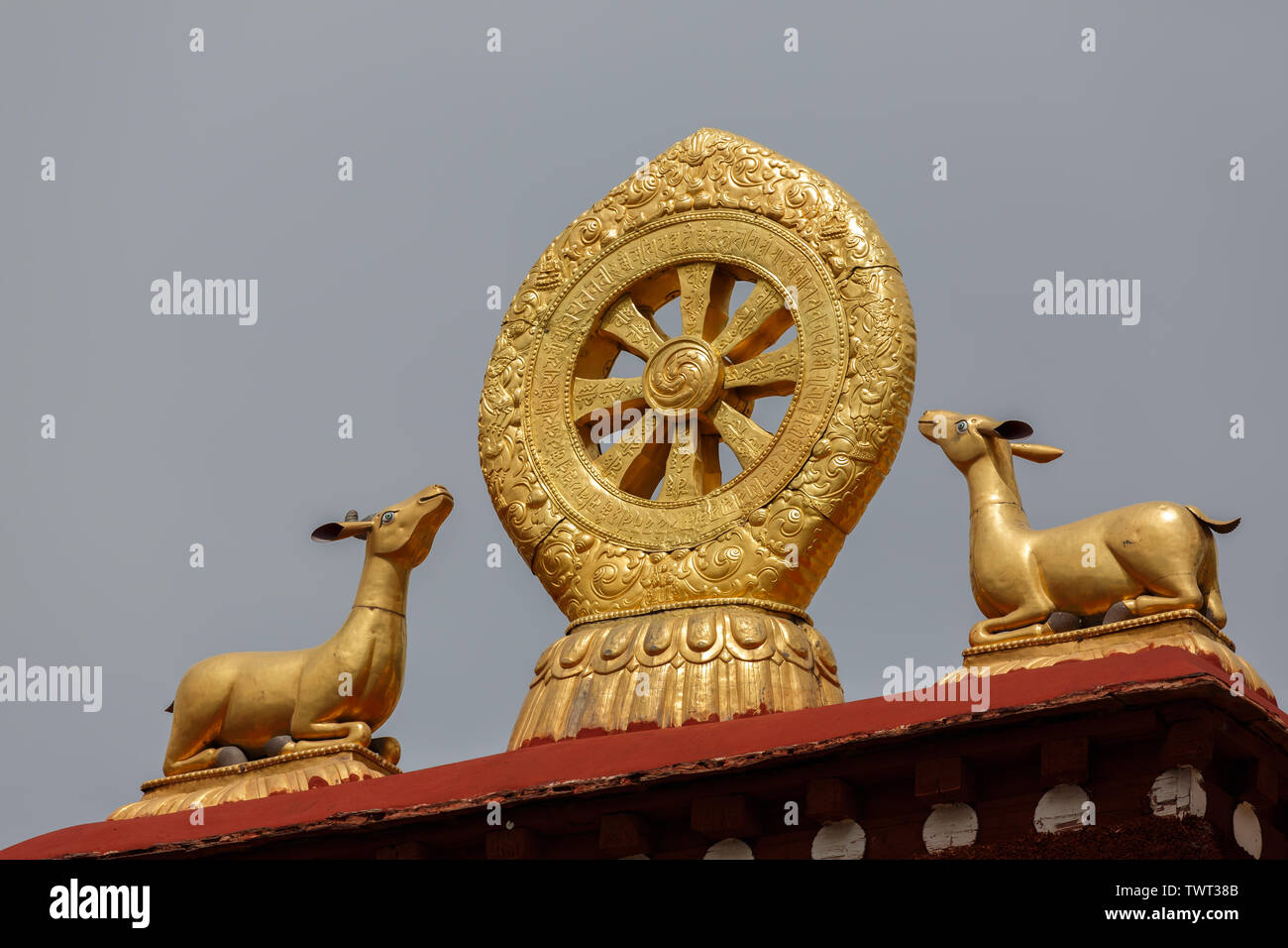 Dharmachakra hi-res stock photography and images - Alamy
