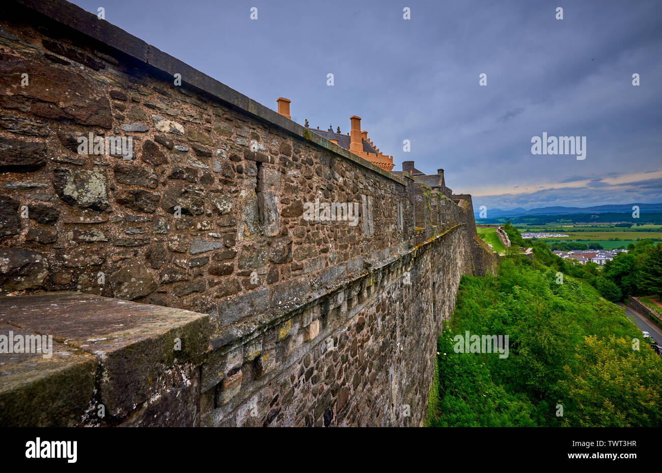 The stirling wolf hi-res stock photography and images - Alamy