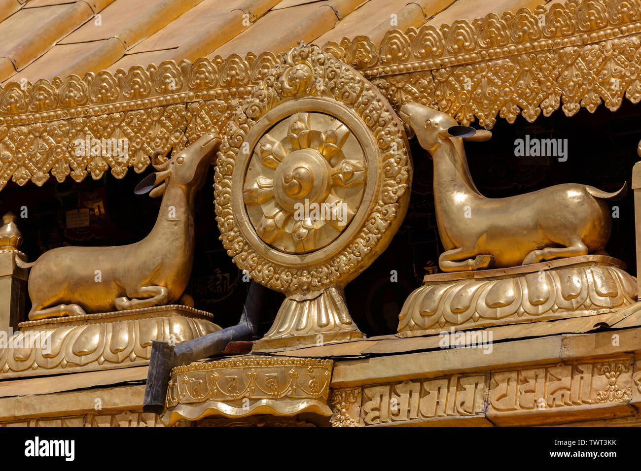 Dharmachakra wheel hi-res stock photography and images - Alamy