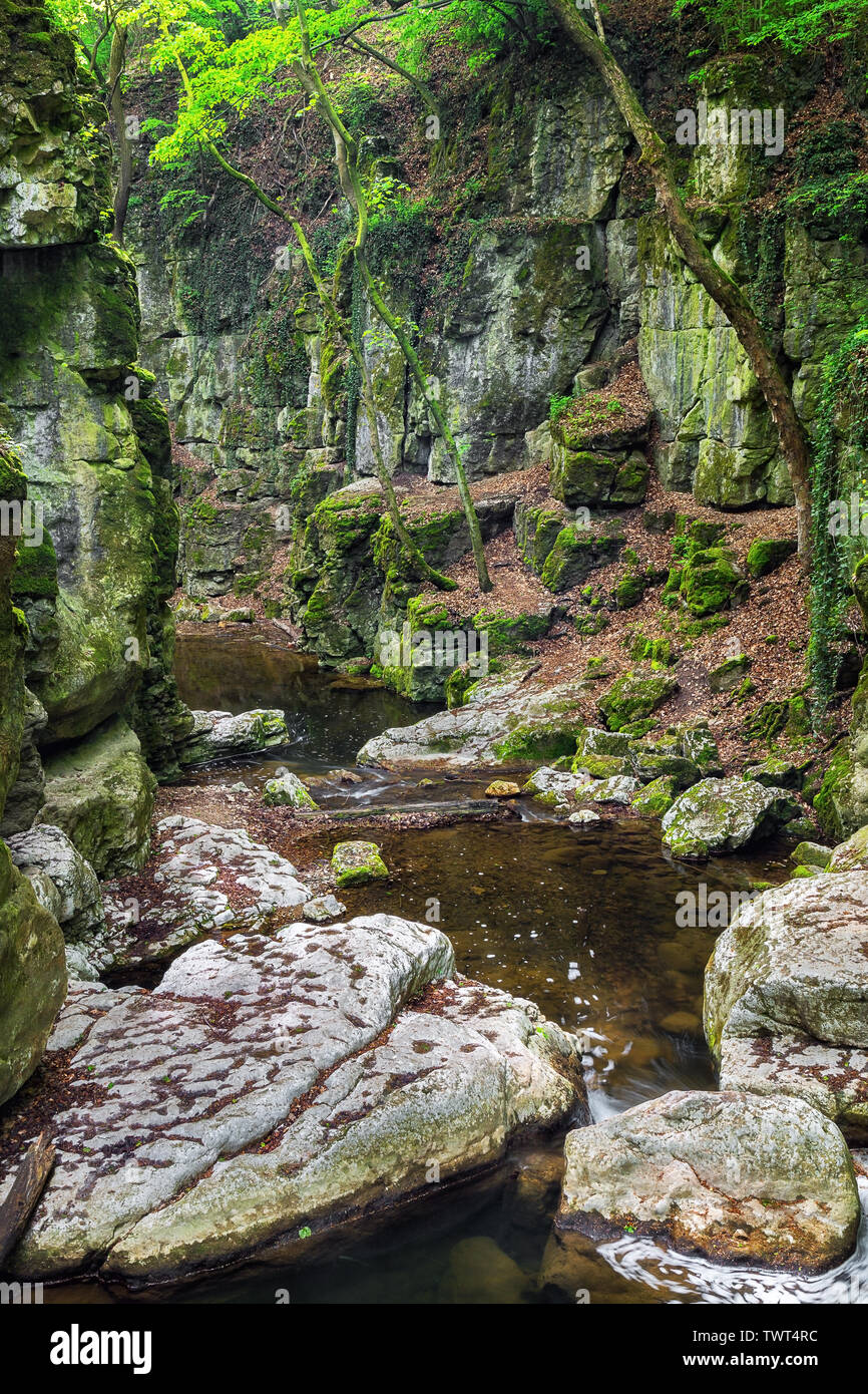 Green gorge hi-res stock photography and images - Alamy