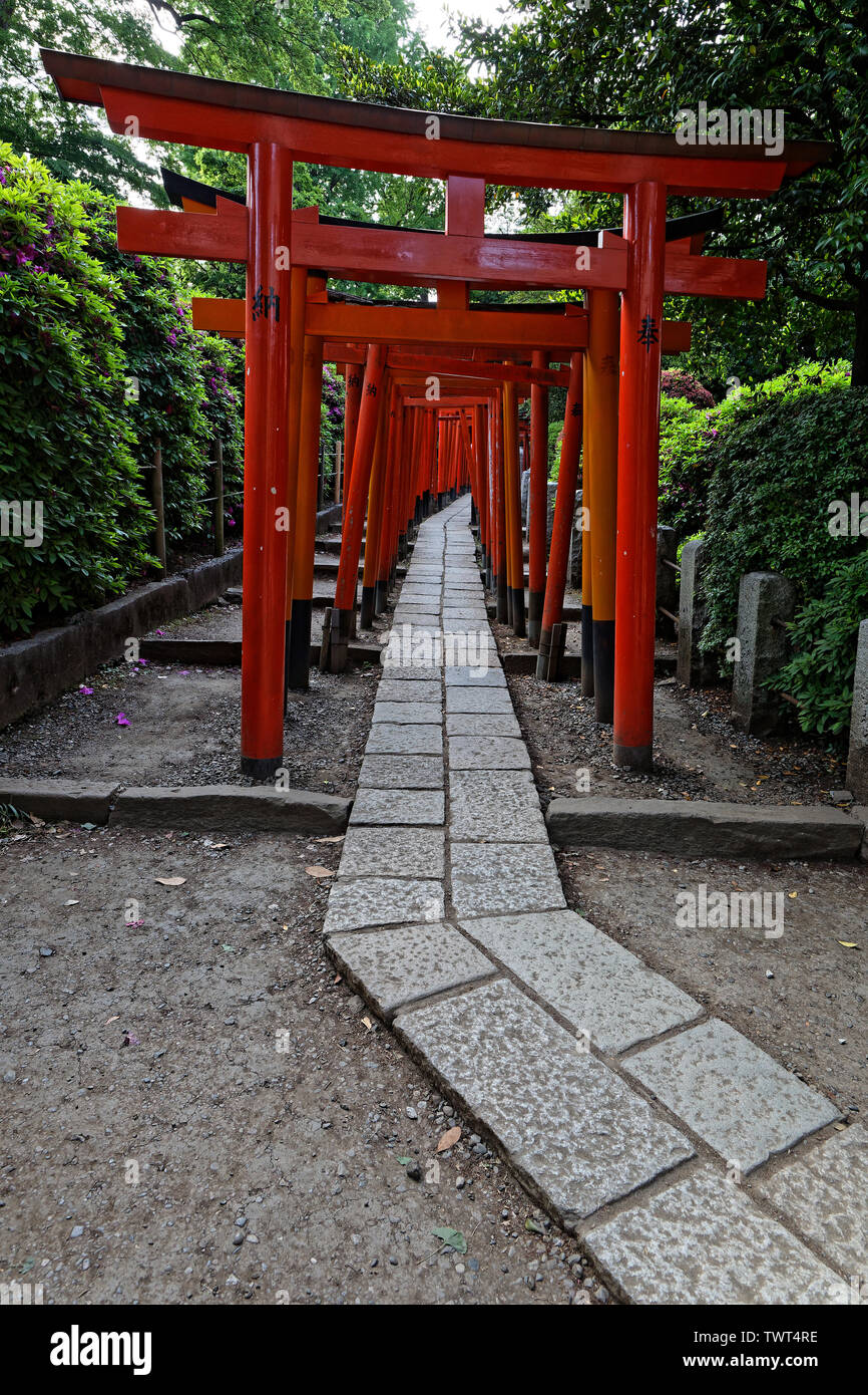 Orange arches in Nezu temple, Tokyo, Japan Stock Photo - Alamy