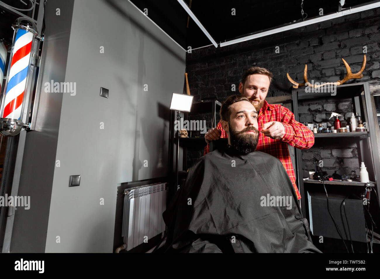 Professional hairdresser making haircut in hi-res stock photography and ...