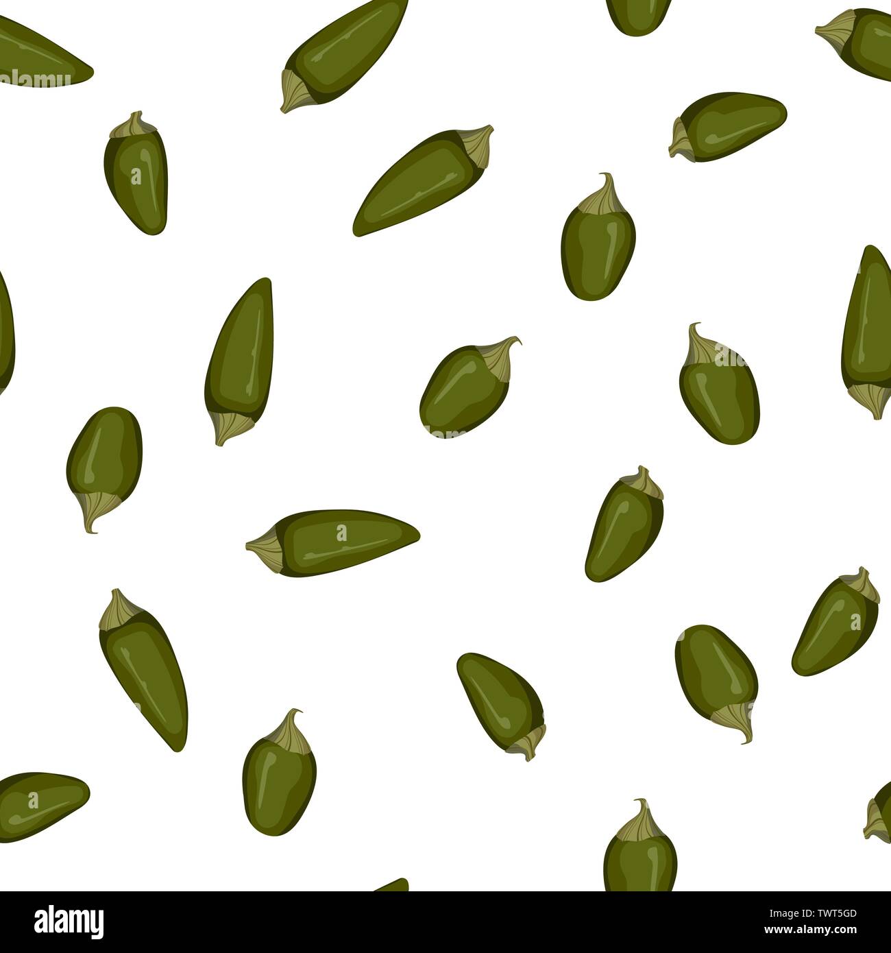 Green jalapeno chillies. Vector illustration. Spicy vegetable. Seamless ...