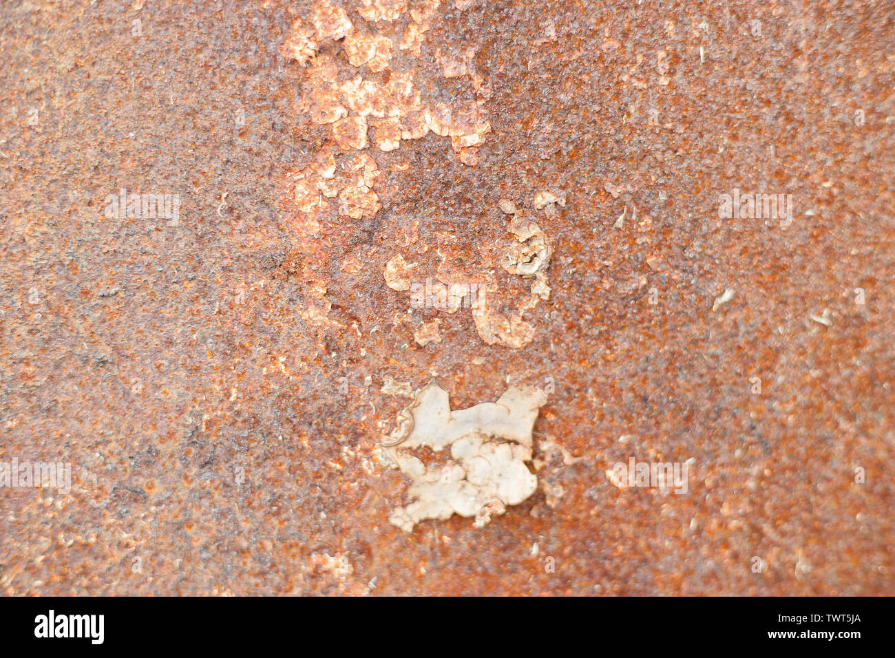 Rusty metal sheet, old grunge metal texture use for background ...
