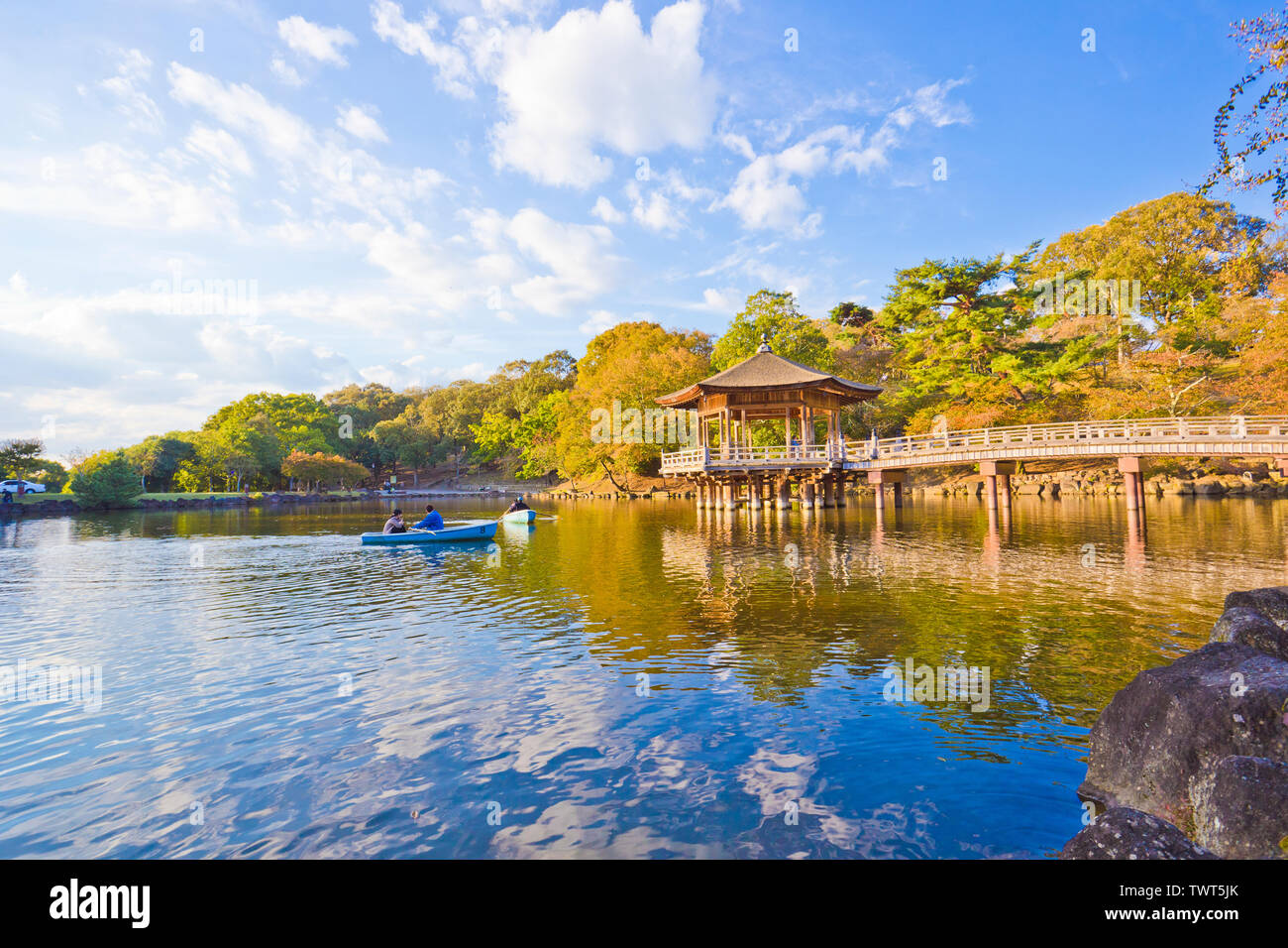 Nara koen park hi-res stock photography and images - Alamy