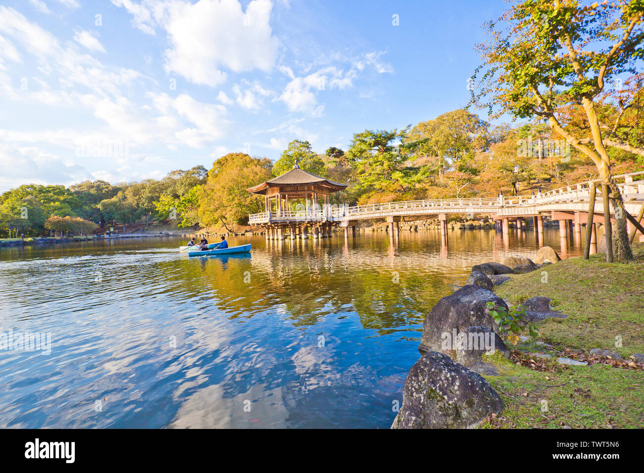 Nara koen park hi-res stock photography and images - Alamy