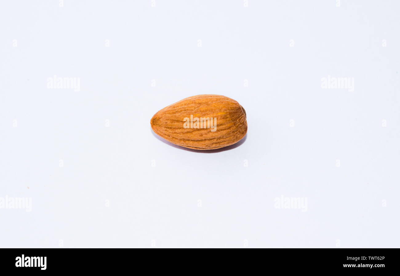 close up of brown almond seed isolated on white background,clipping ...