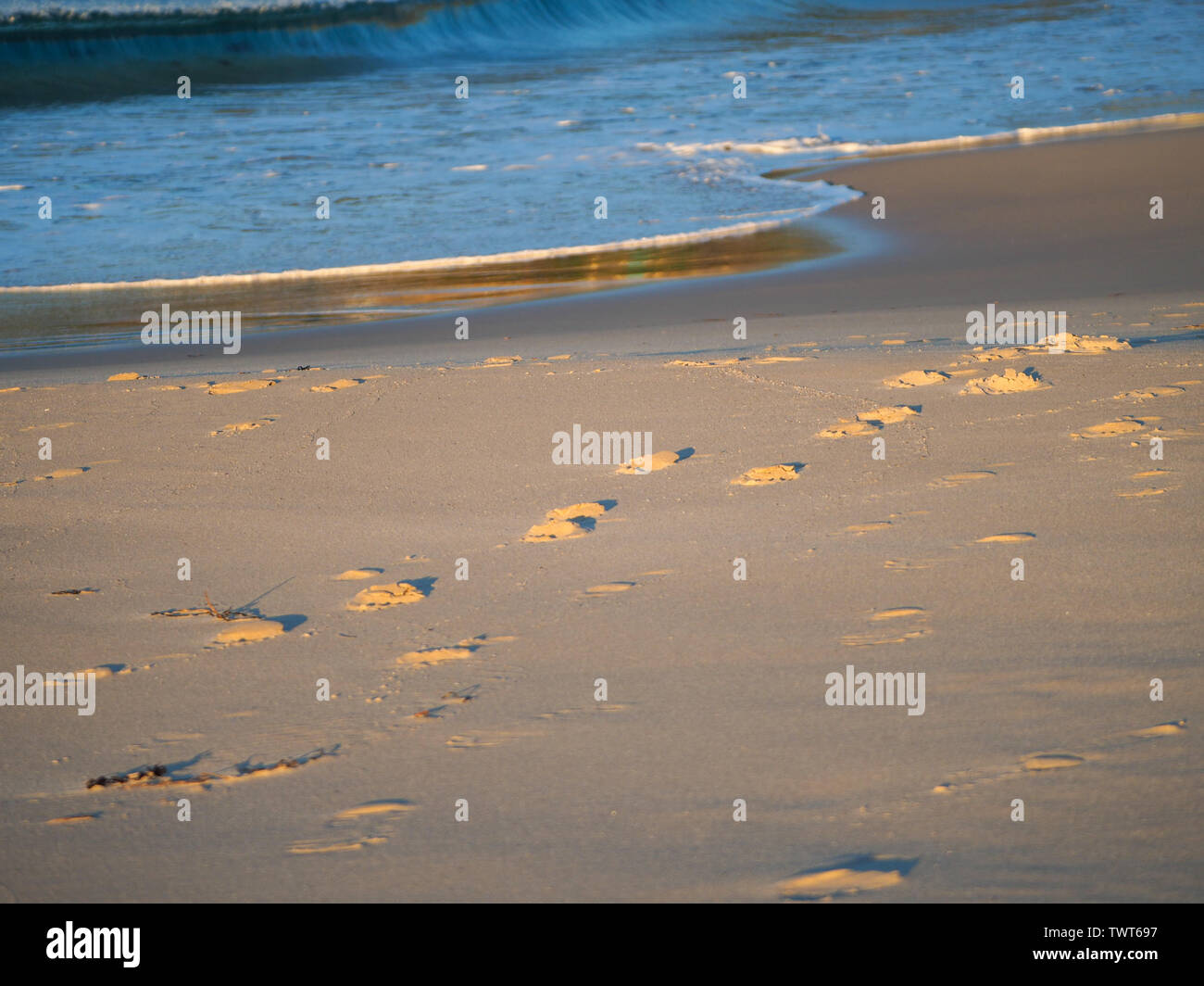 Multiple footprints in sand hi-res stock photography and images - Alamy