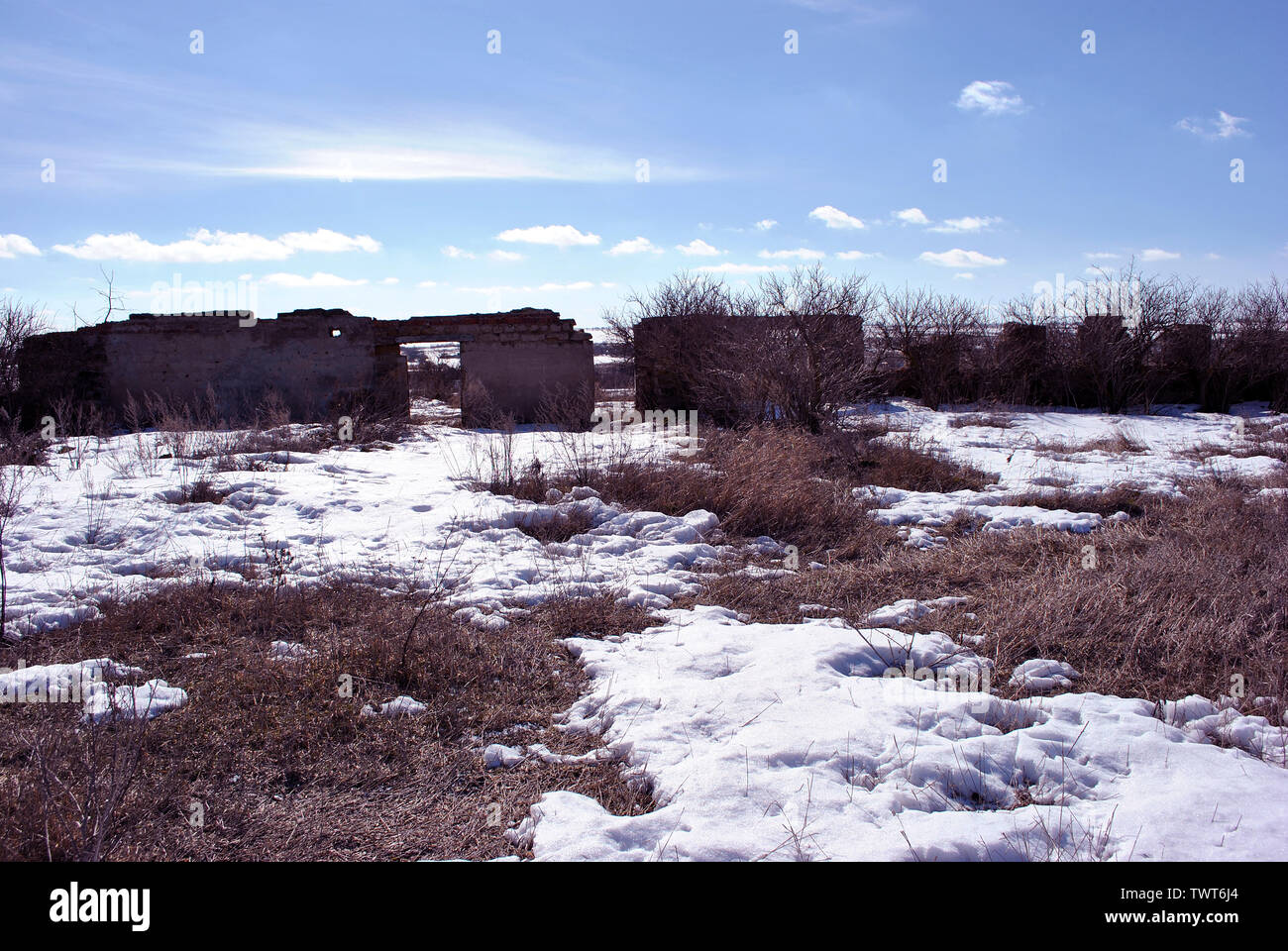 Hill with dry grass covered with snow, trees without leaves on horizon ...