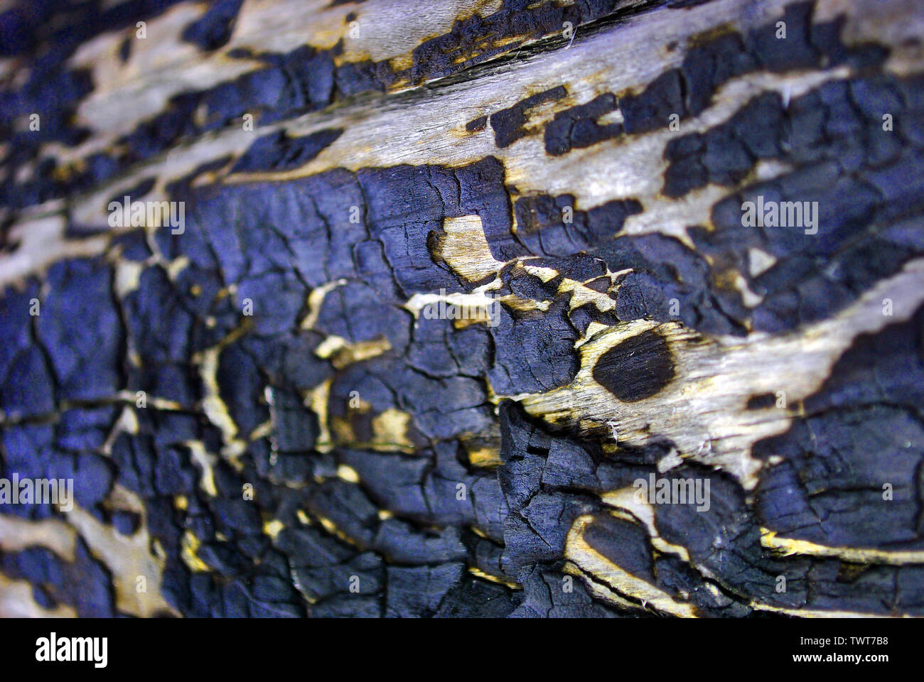 Old shabby tree trunk surface with burned staines, horizontal ...