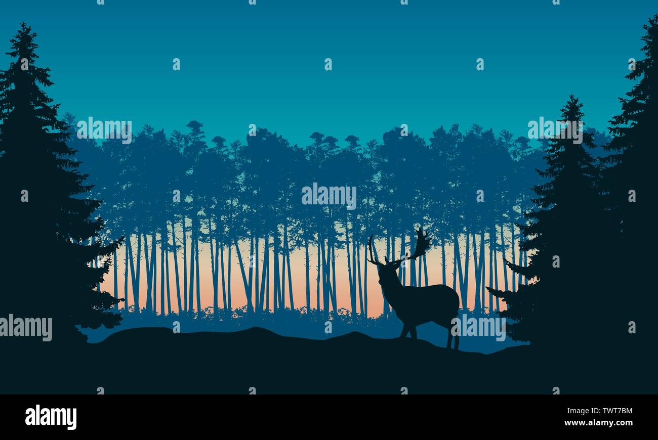 Realistic illustration of landscape with coniferous forest and morning ...