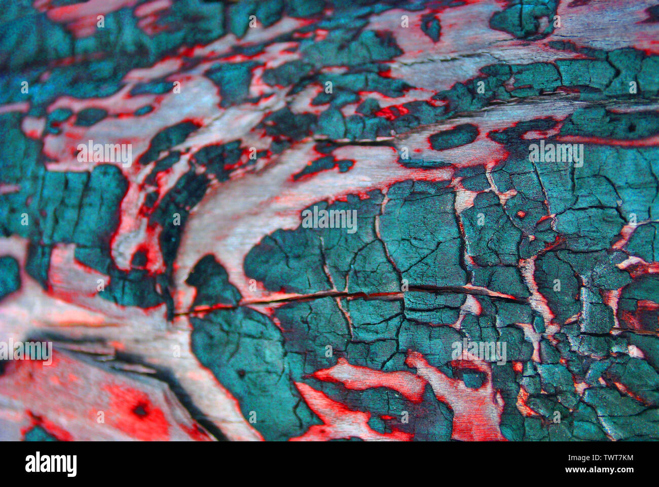 Old shabby tree trunk surface with burned stains, red outline ...