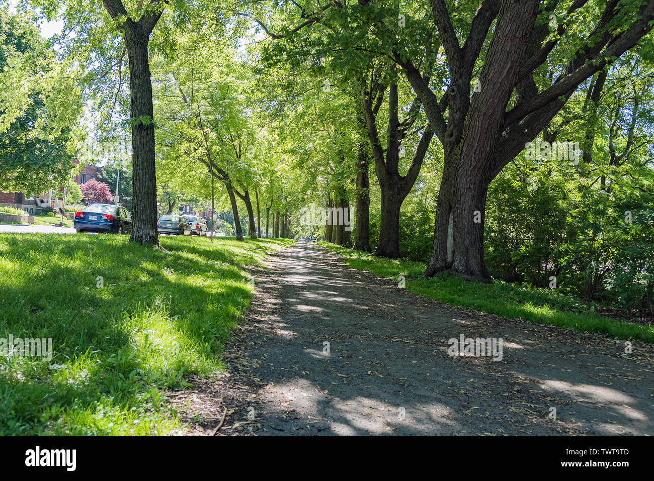Sidewalk scenes hi-res stock photography and images - Alamy