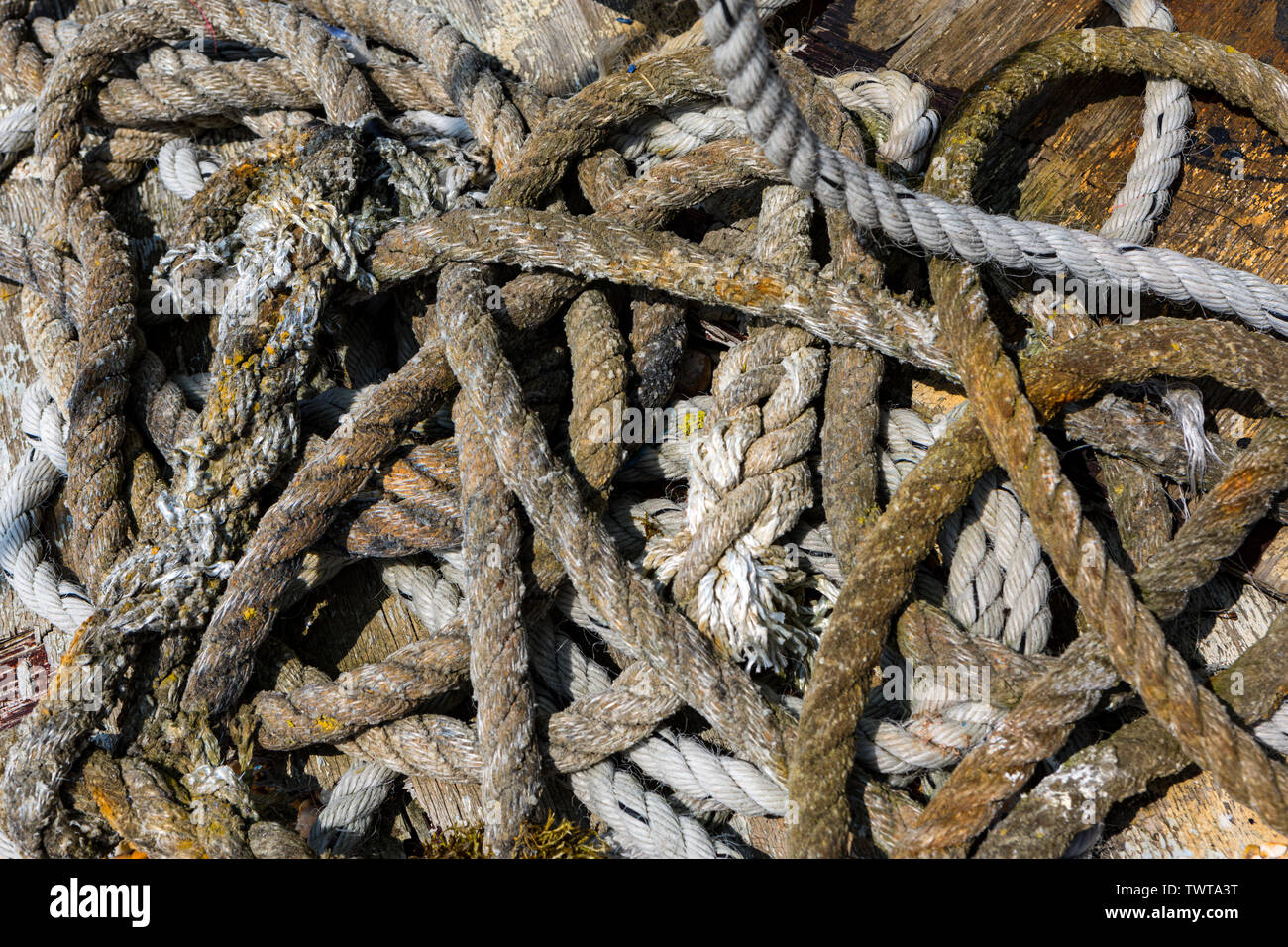 Rotten rope hi-res stock photography and images - Alamy