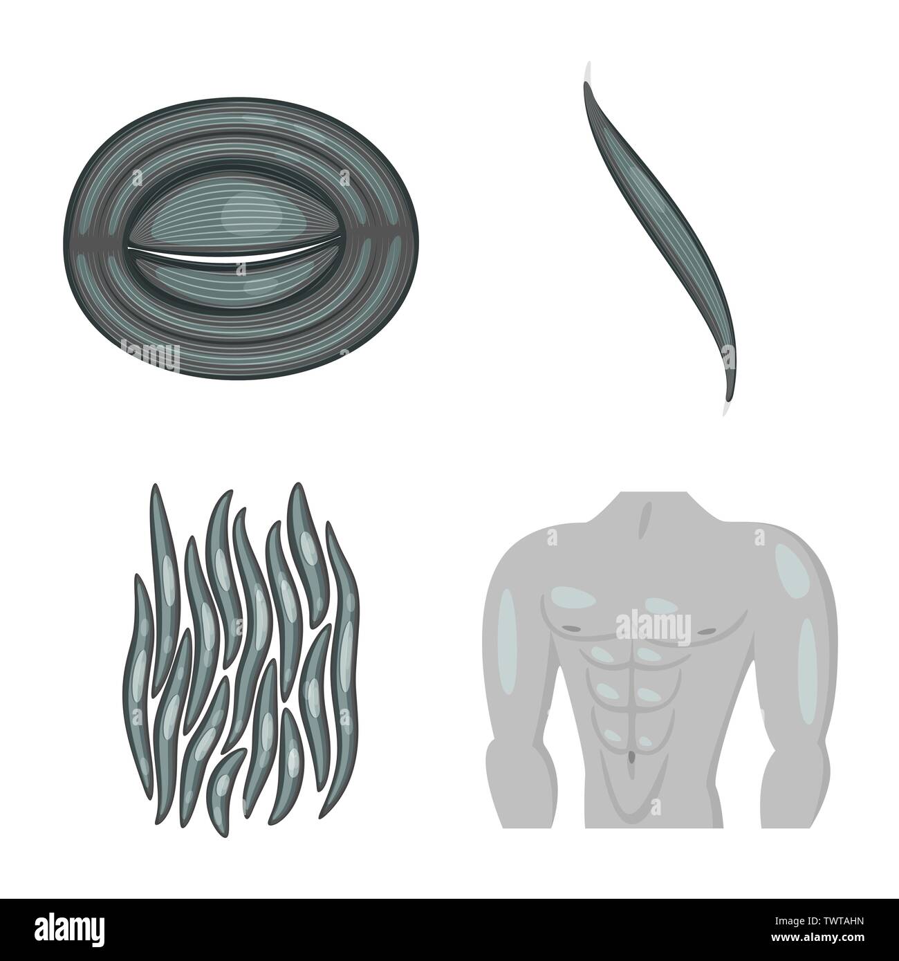 Isolated object of human and body logo. Collection of human and cells ...