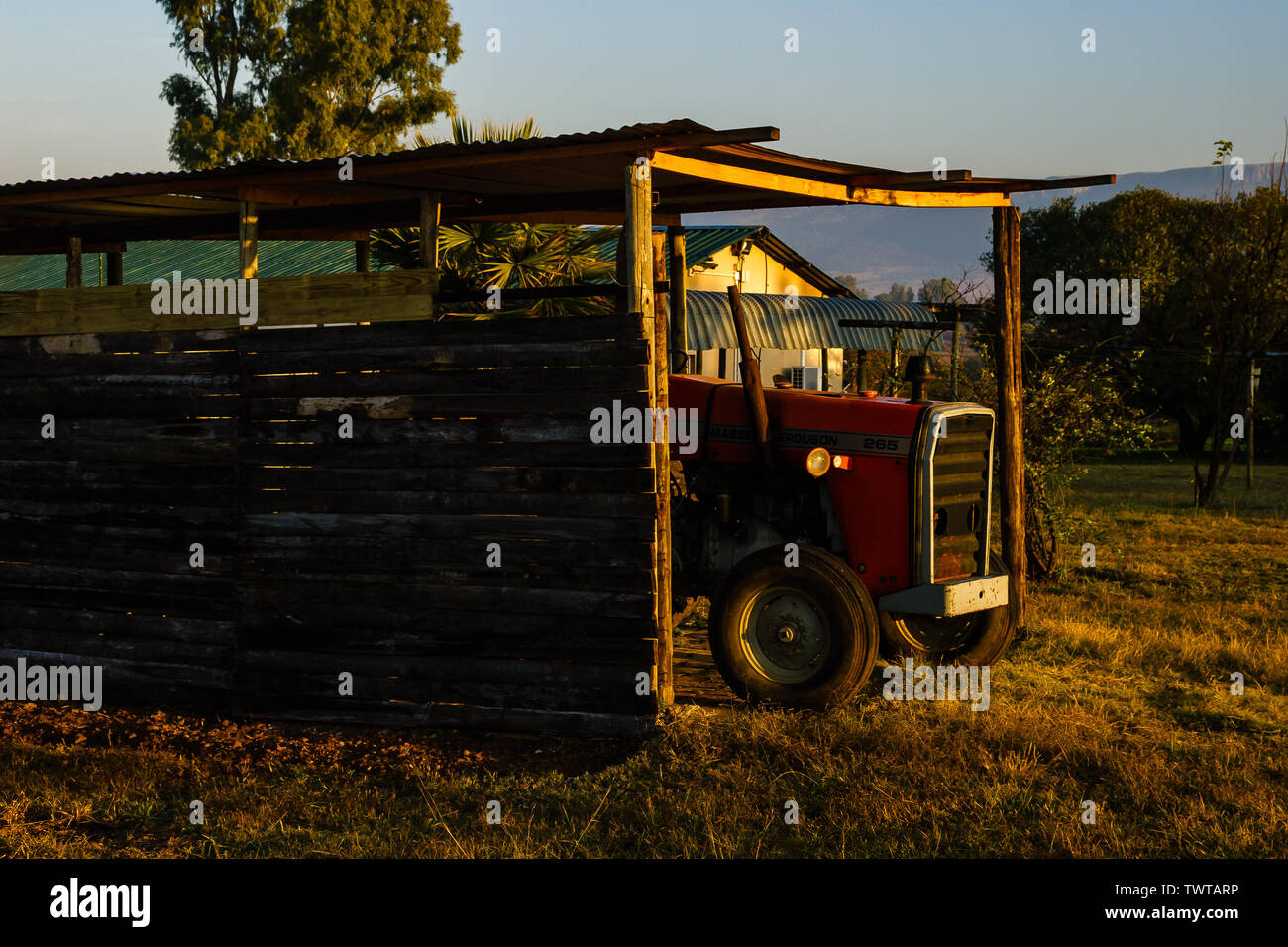 Tractor in a barn Stock Photo - Alamy