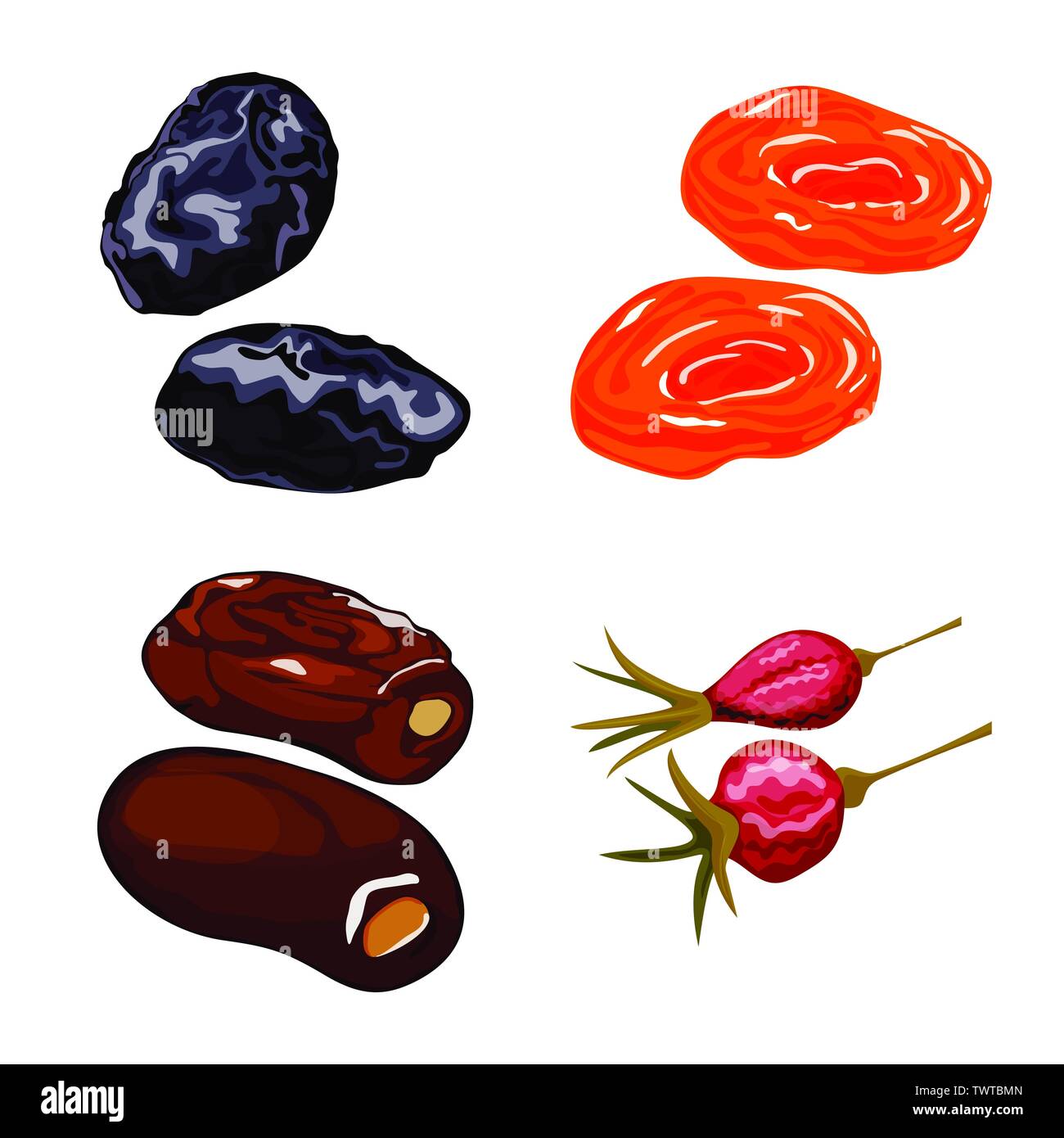 Vector illustration of fruit and dried icon. Collection of fruit and ...