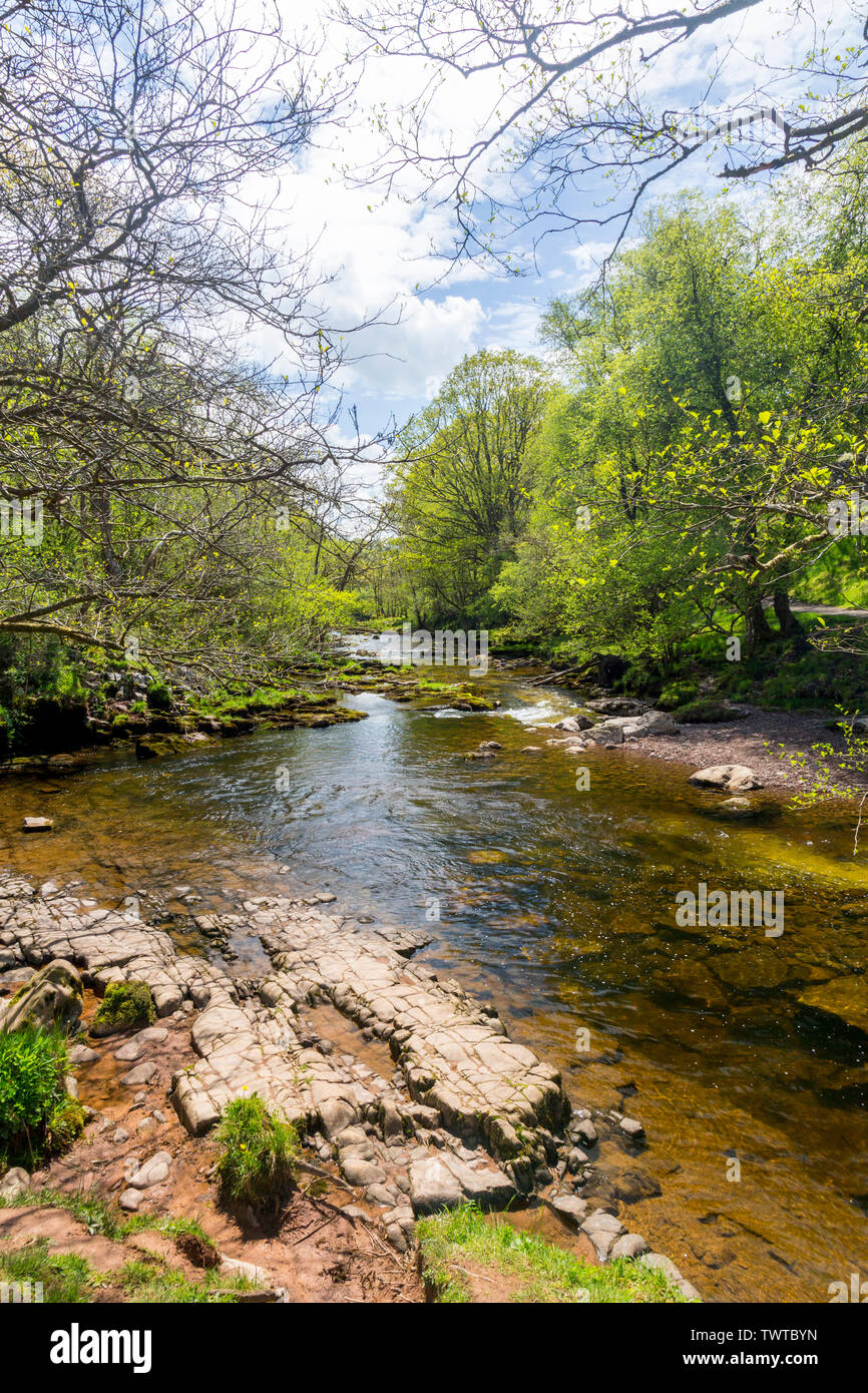 The Afon Mellte flows through ancient woodlands and steep gorges on the ...