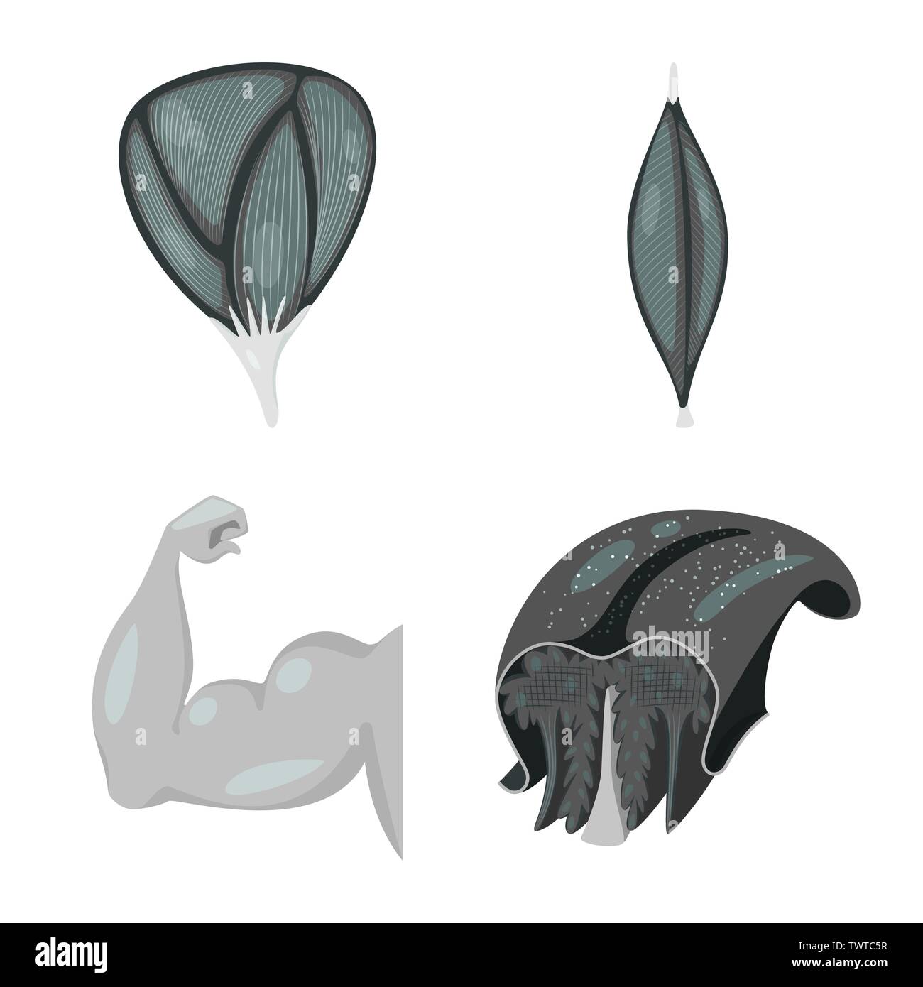 Isolated object of human and body logo. Collection of human and cells ...