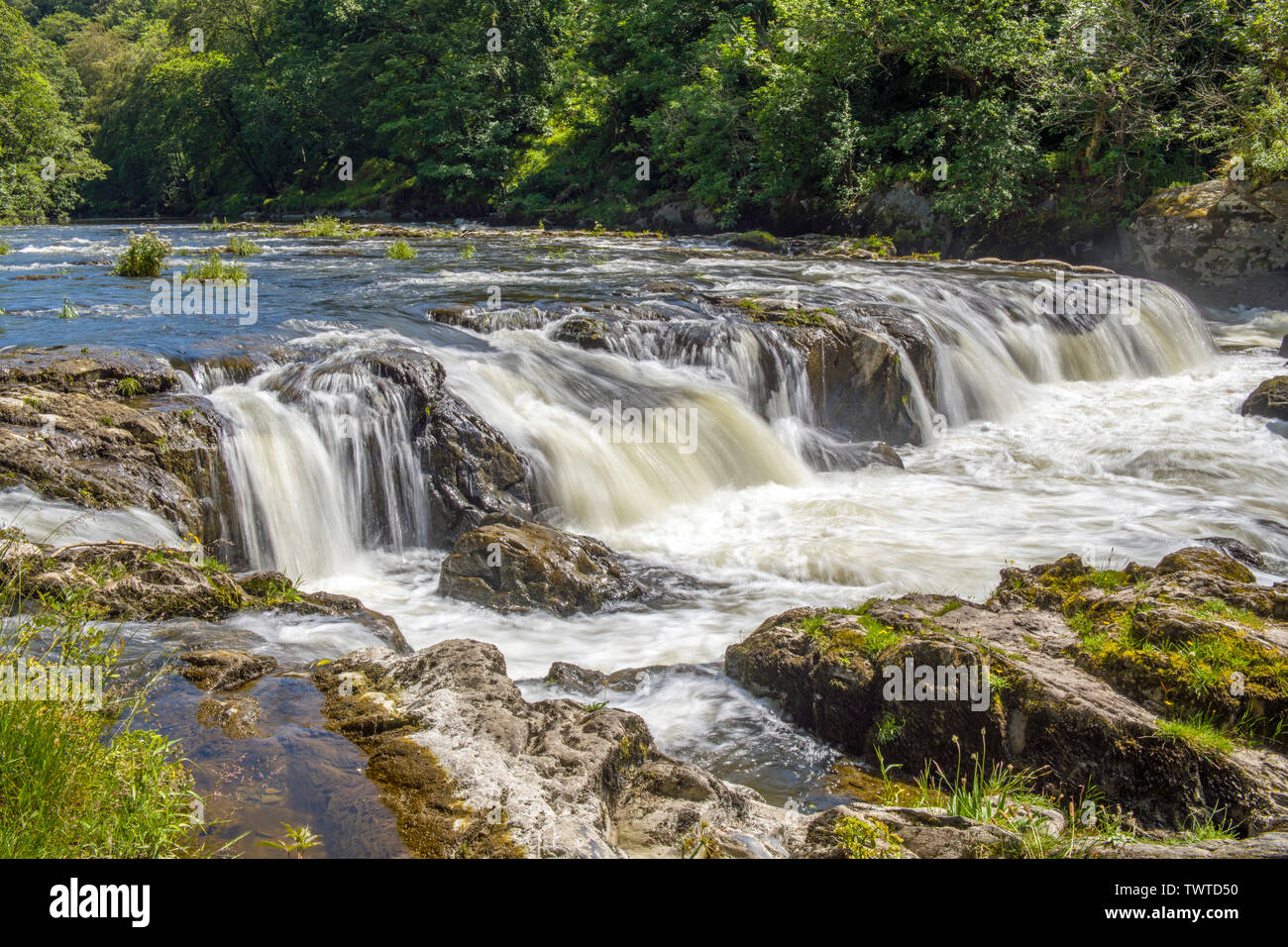 Cenarth falls hi-res stock photography and images - Alamy