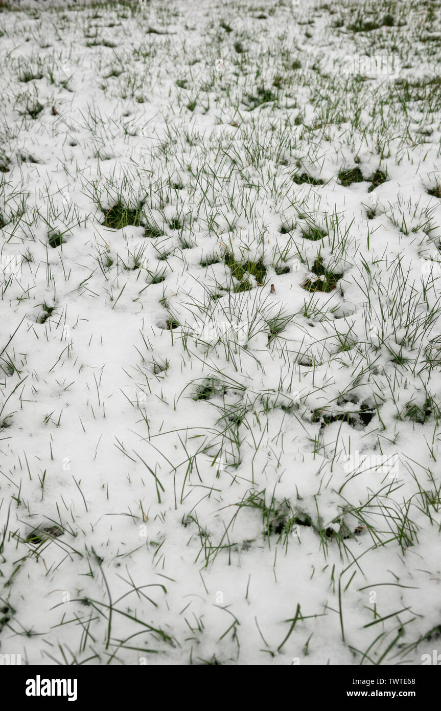 Seasonal grass hi-res stock photography and images - Alamy