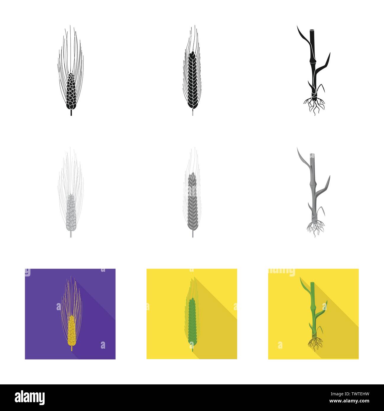 Vector Vectors Stock Vector Image & Art - Alamy