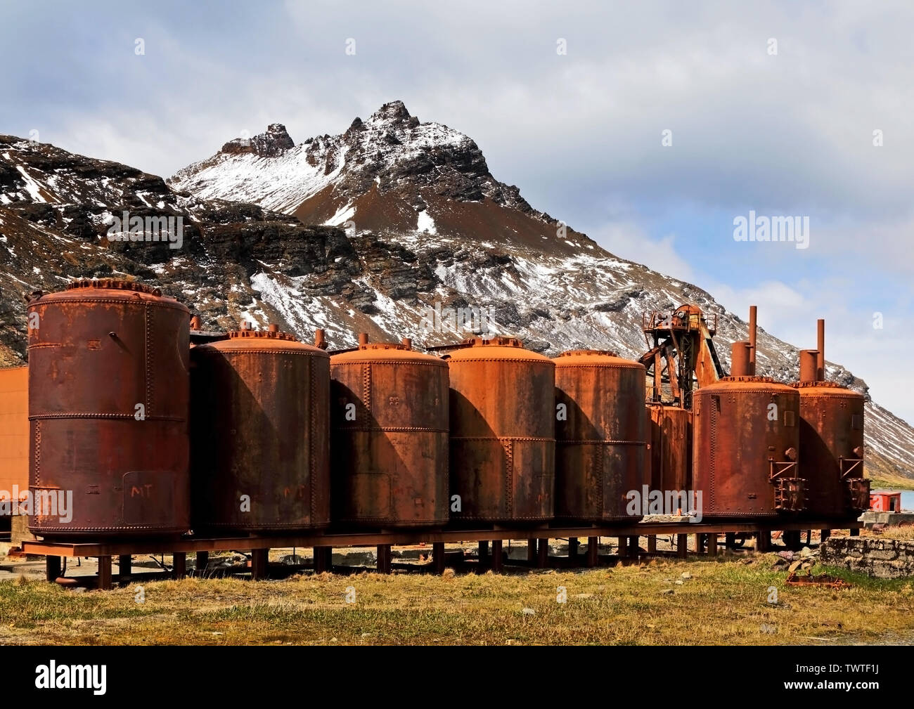Whale Oil High Resolution Stock Photography and Images - Alamy