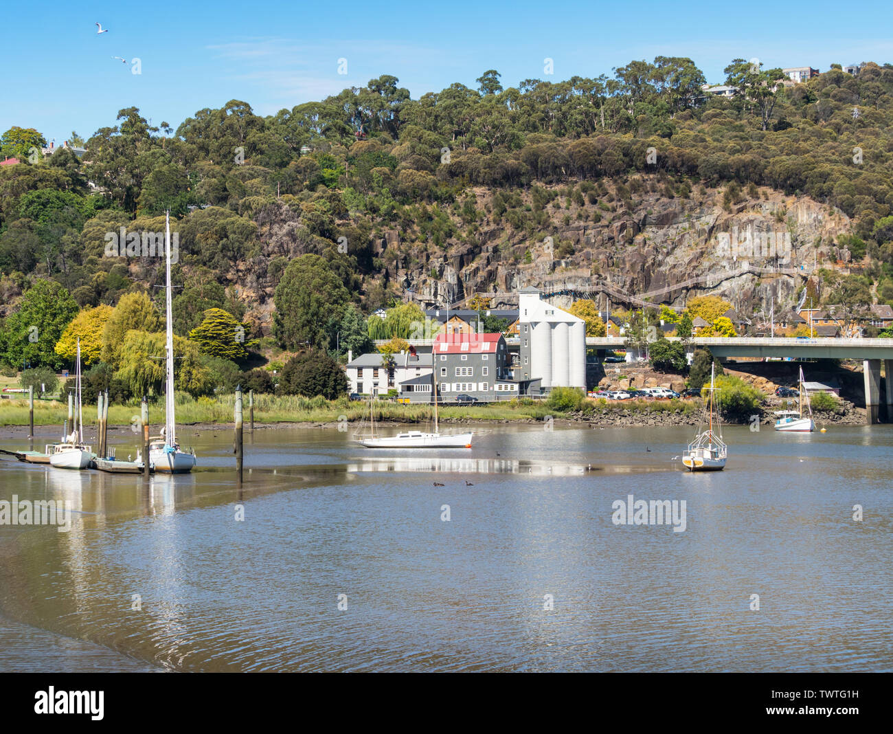 Boats and yachts moored in the Tamar River in Launceston, in Tasmania ...